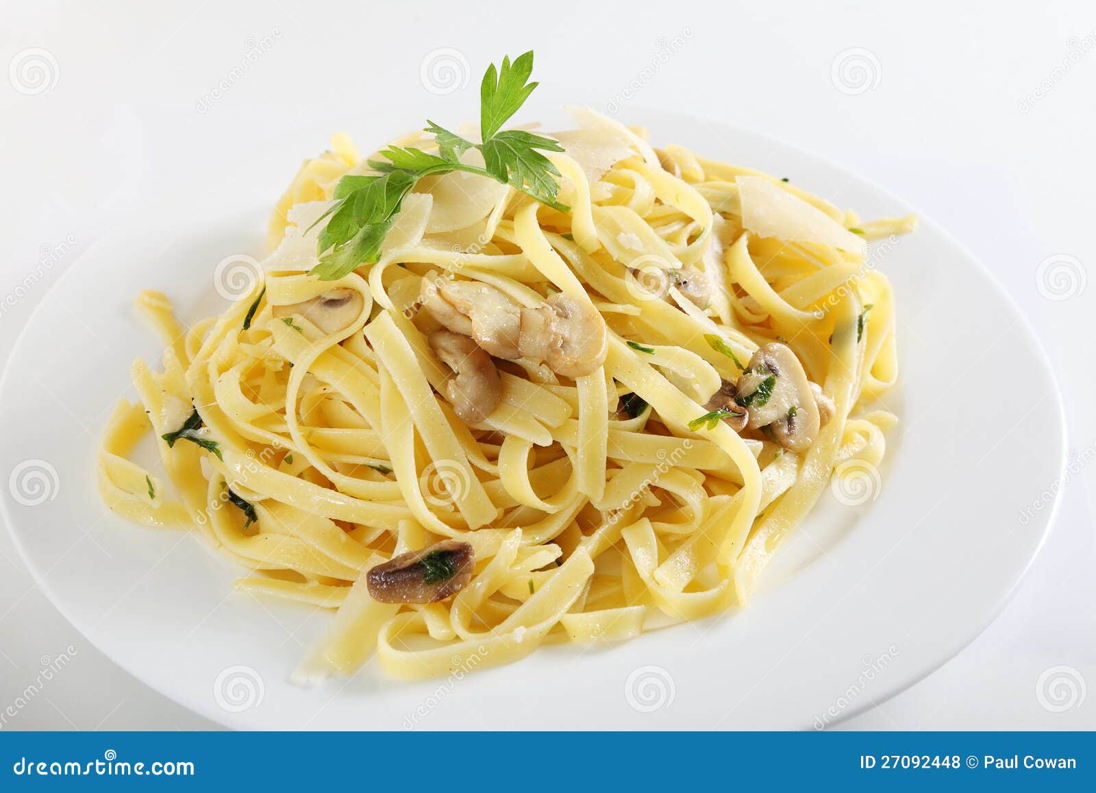 Pasta ai funghi stock photo. Image of parsley, reggiano - 27092448