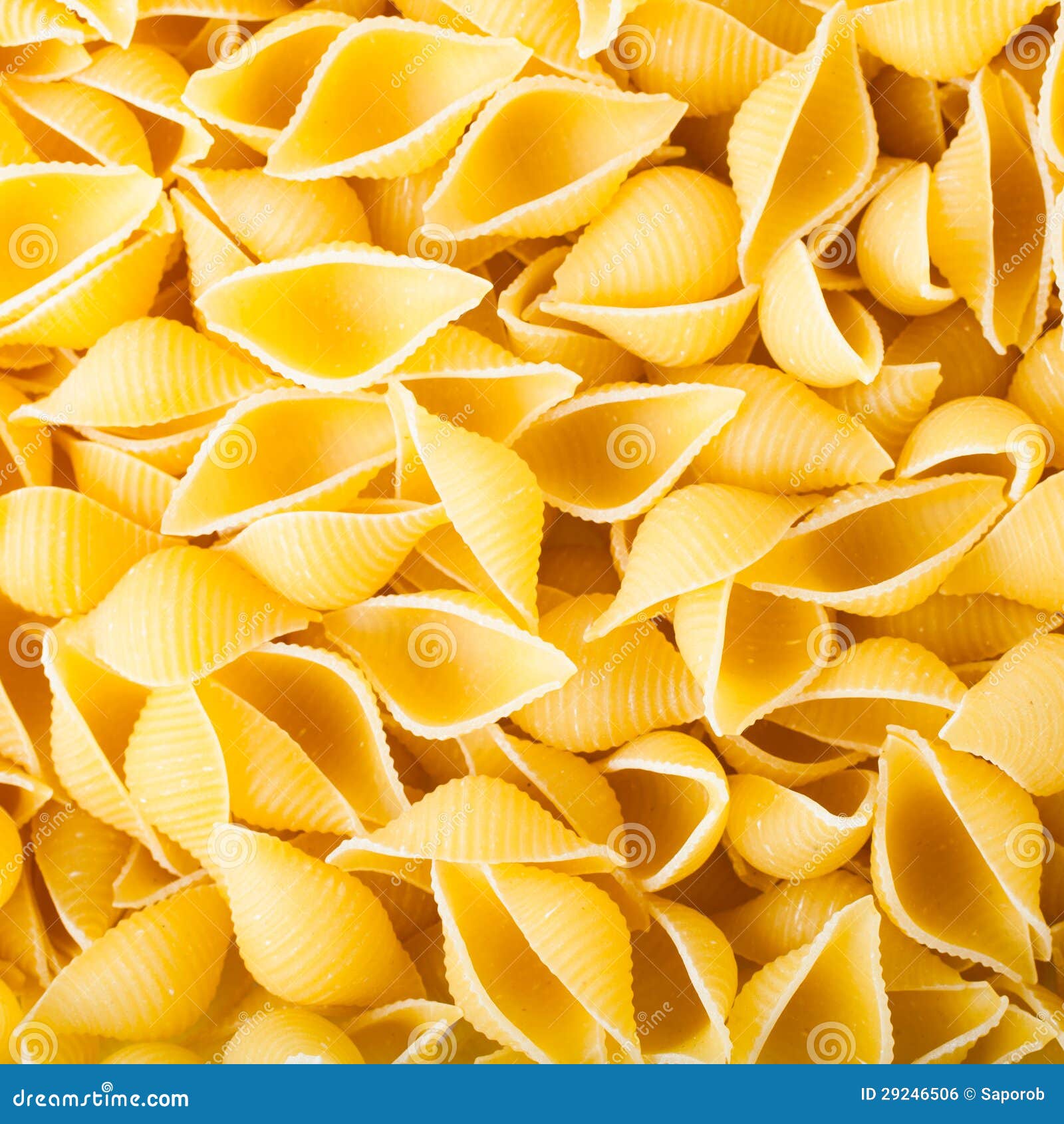 Pasta conchiglie stock photo. Image of flat, cuisine - 29246506
