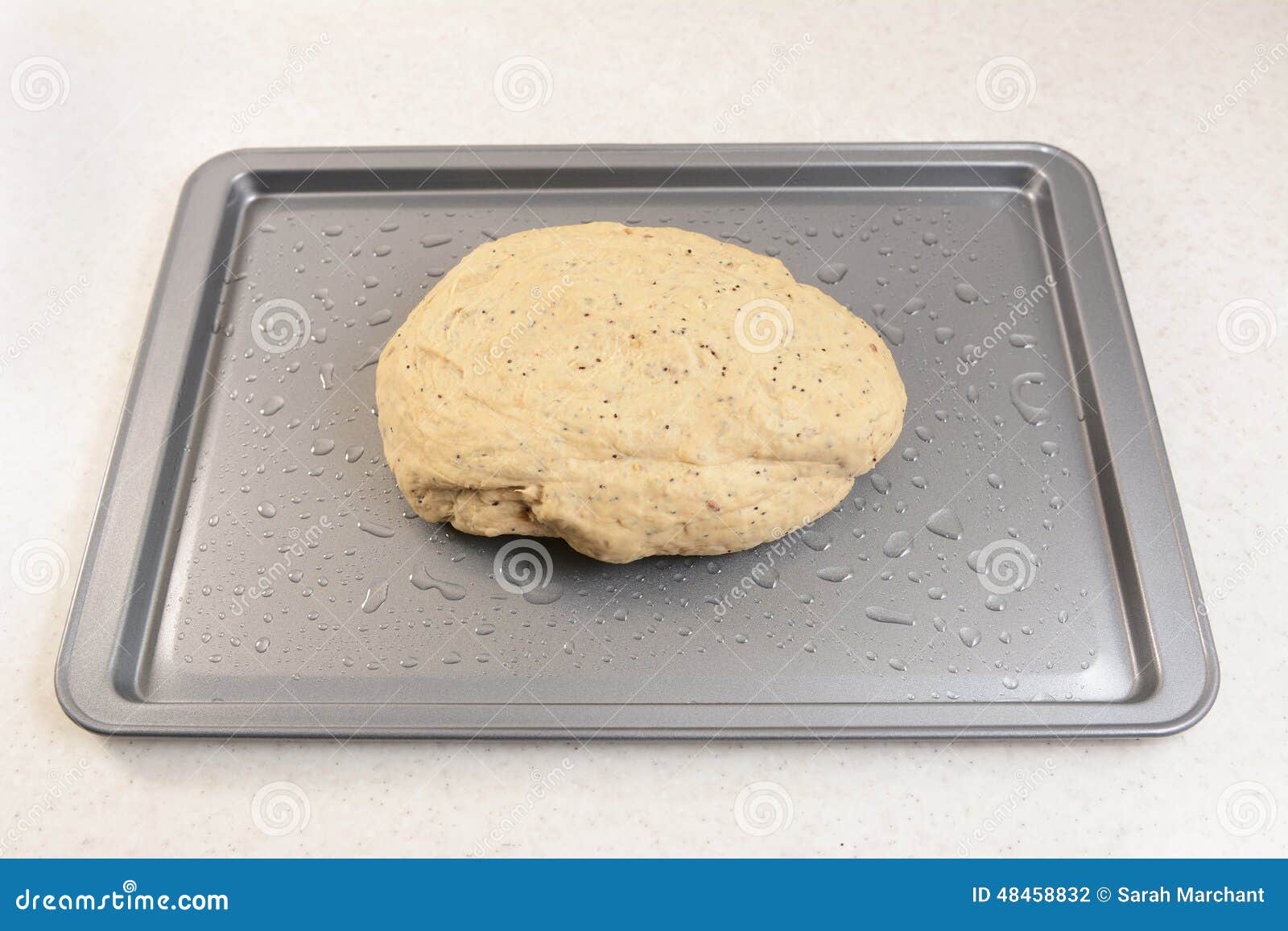 Pasta de pan lisa, amasada foto de archivo. Imagen de amasado - 48458832