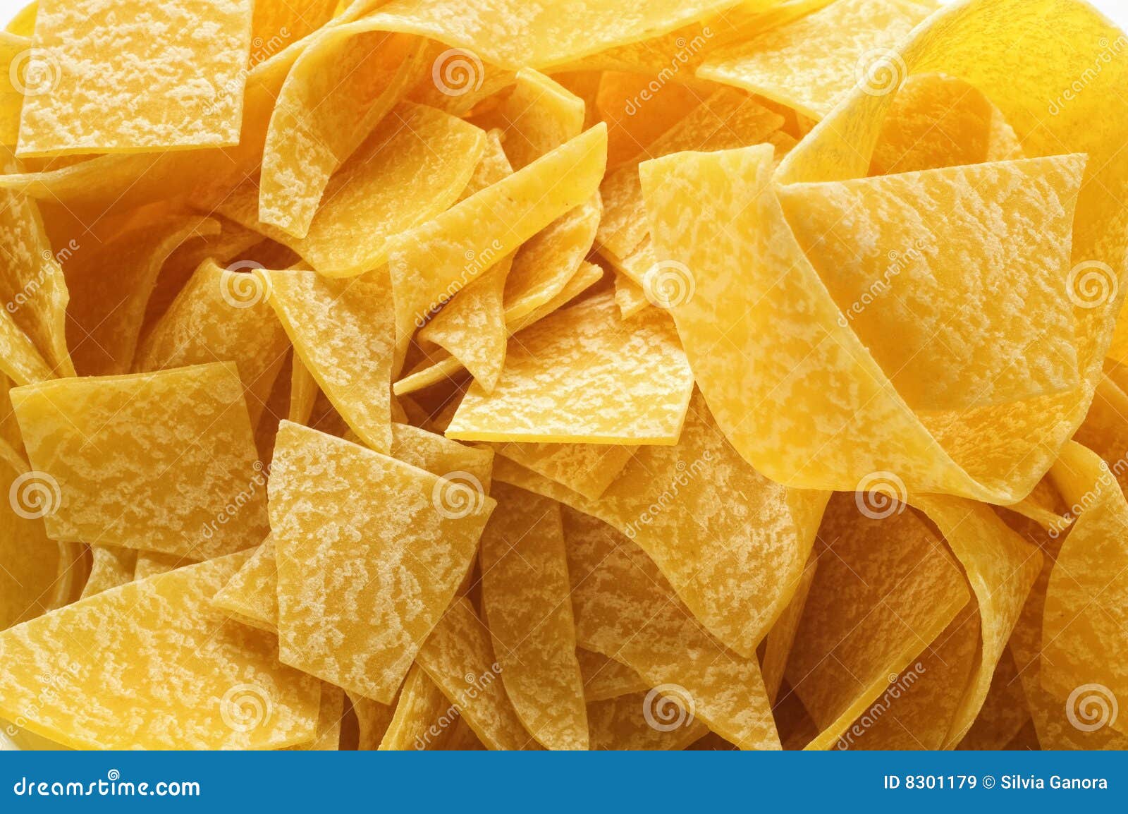 Pasta di Pappardelle immagine stock. Immagine di cucina - 8301179