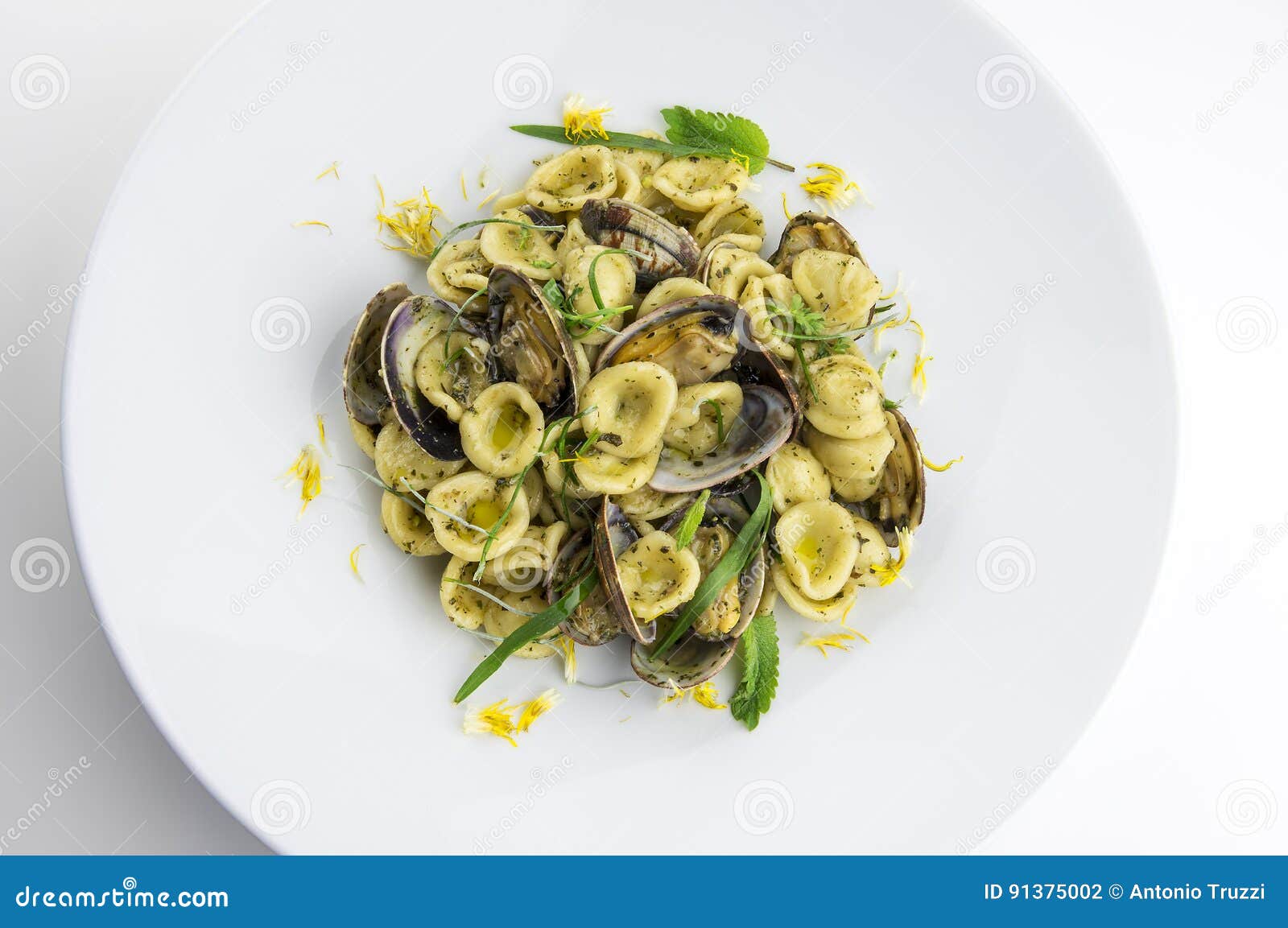 Pasta Dish Apulian Ears with Clams Stock Photo - Image of ingredient ...