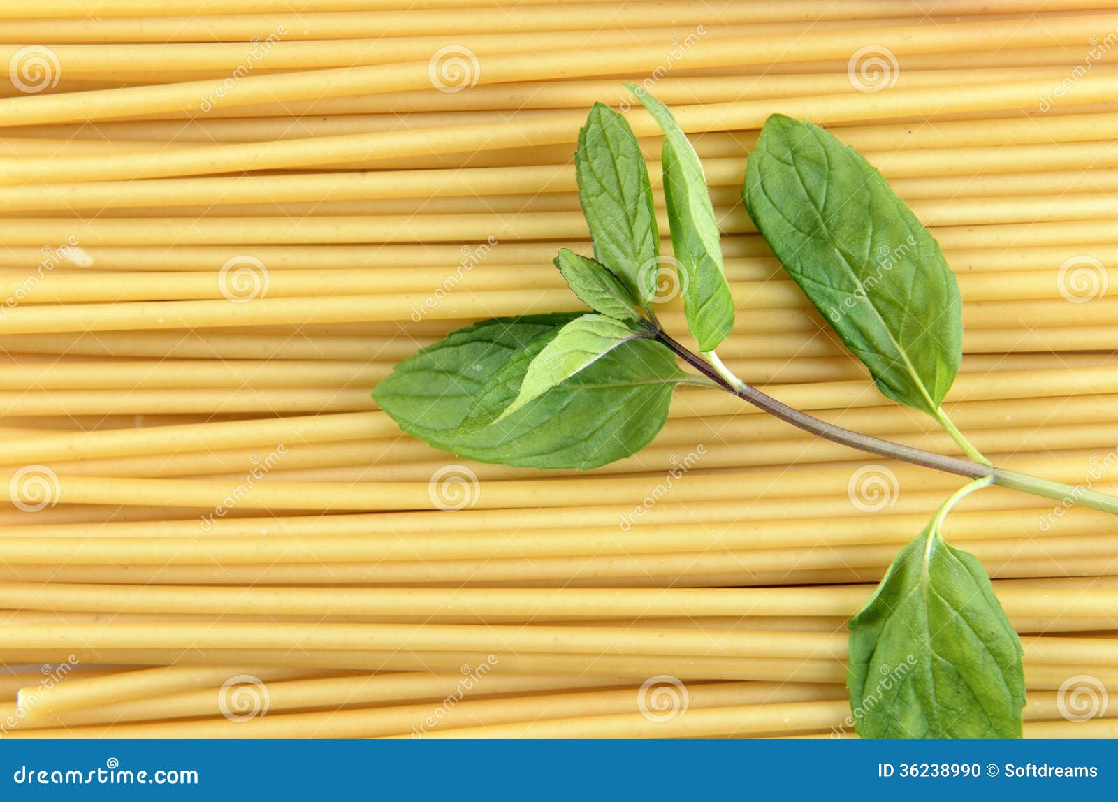 Pasta and mint stock photo. Image of preparing, fresh - 36238990
