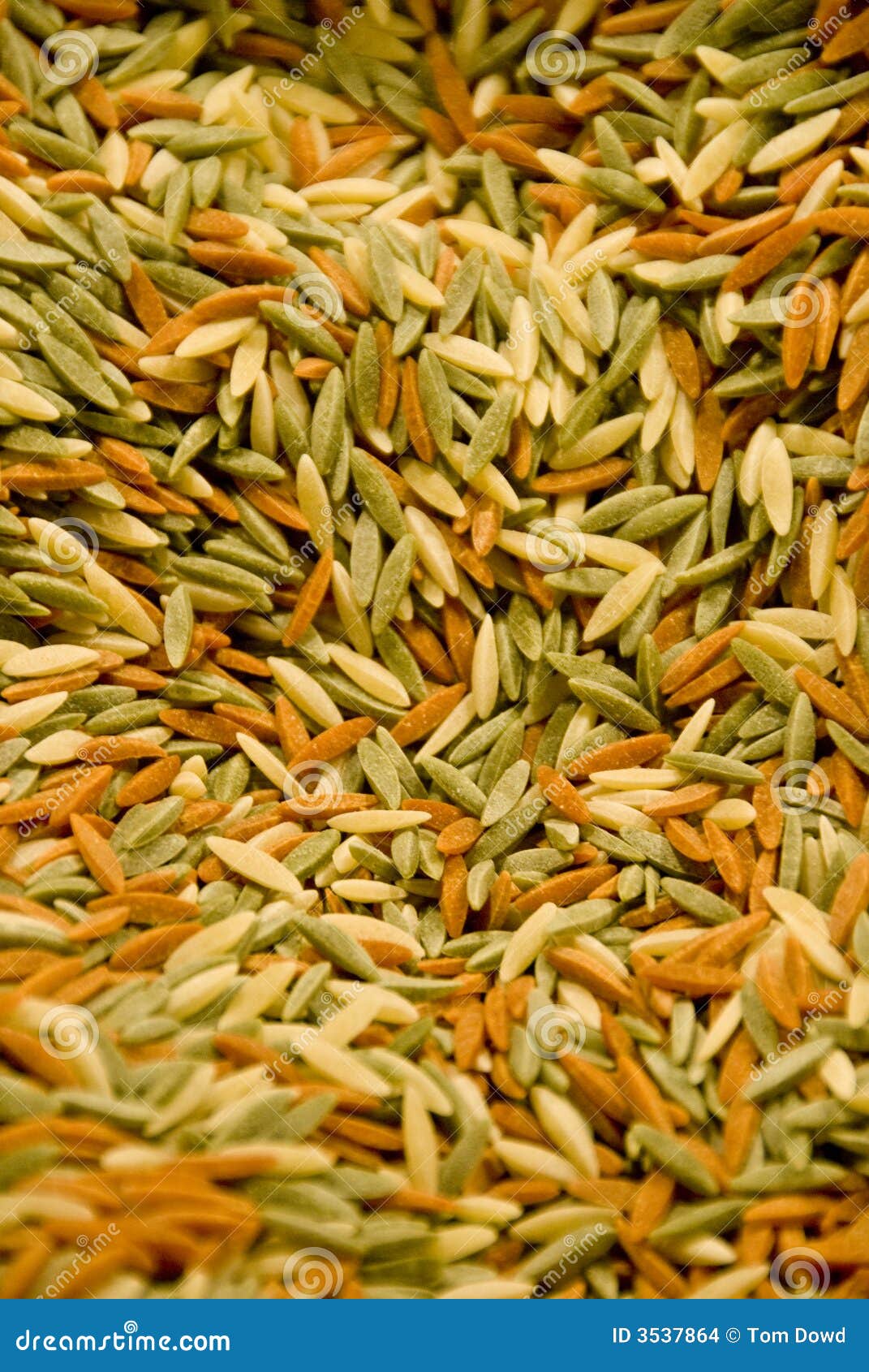 Pasta Mixed Colors stock photo. Image of health, tossed - 3537864