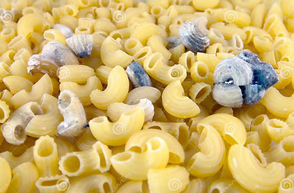 Pasta with mold stock photo. Image of noodle, fungus - 96554378