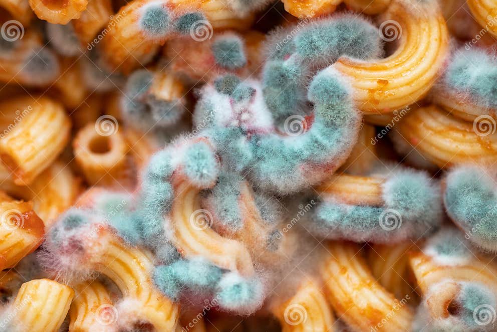Pasta with Mold, Spoiled Pasta Close-up, Green Mold Stock Photo - Image ...