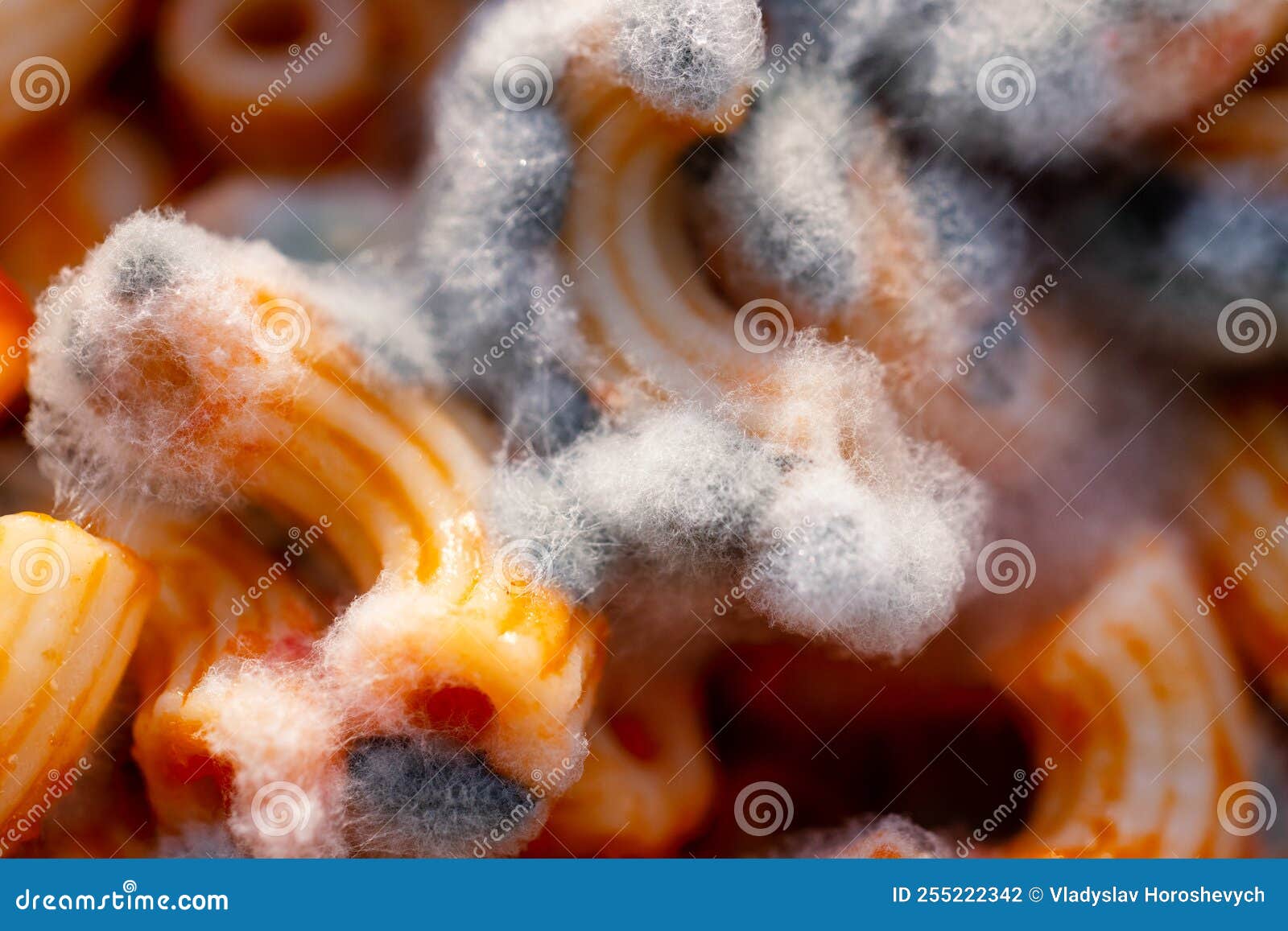 Pasta with Mold, Spoiled Pasta Close-up, Green Mold Stock Photo - Image ...