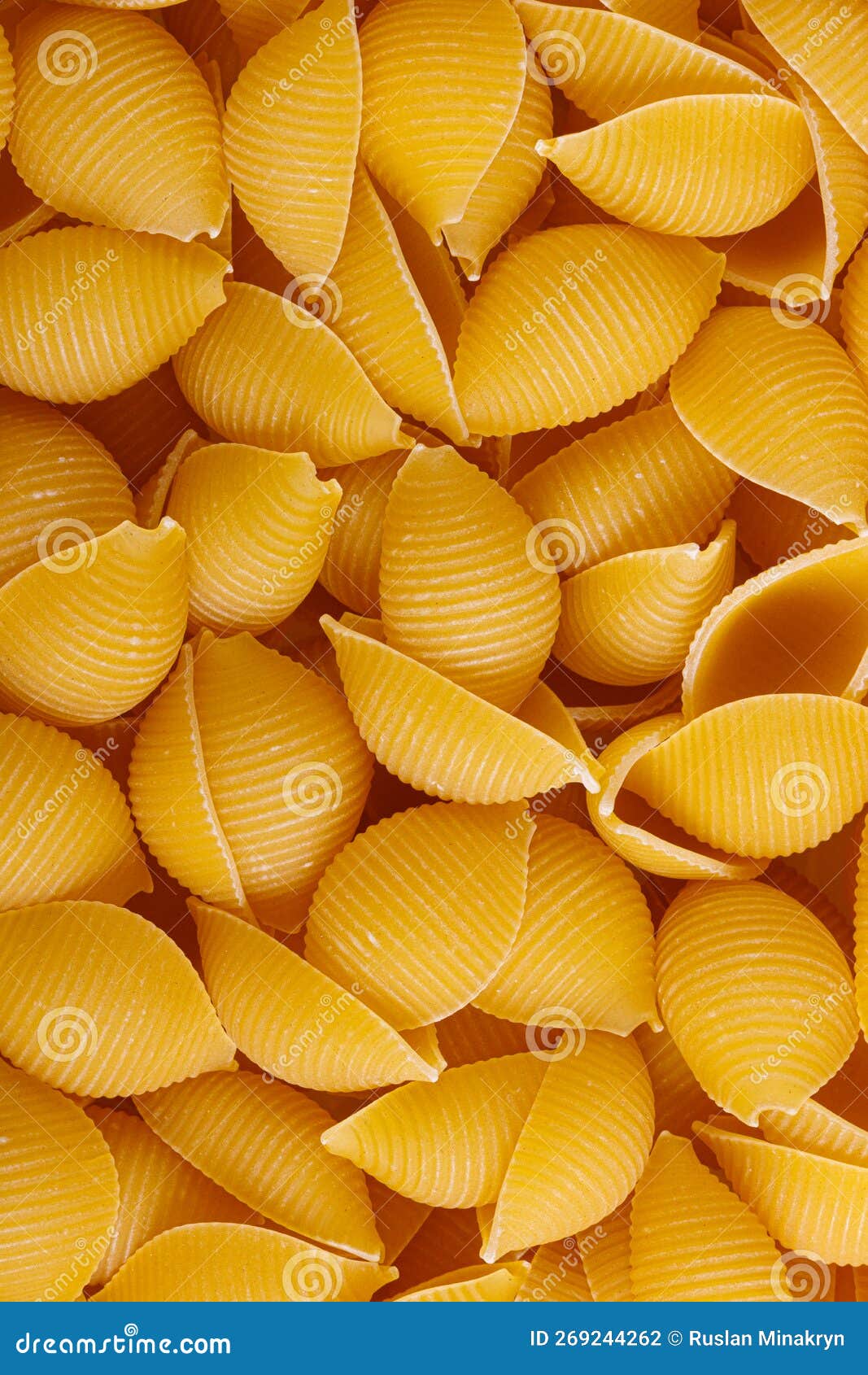 Pasta Products in the Form of a Shell, Texture Stock Photo - Image of ...