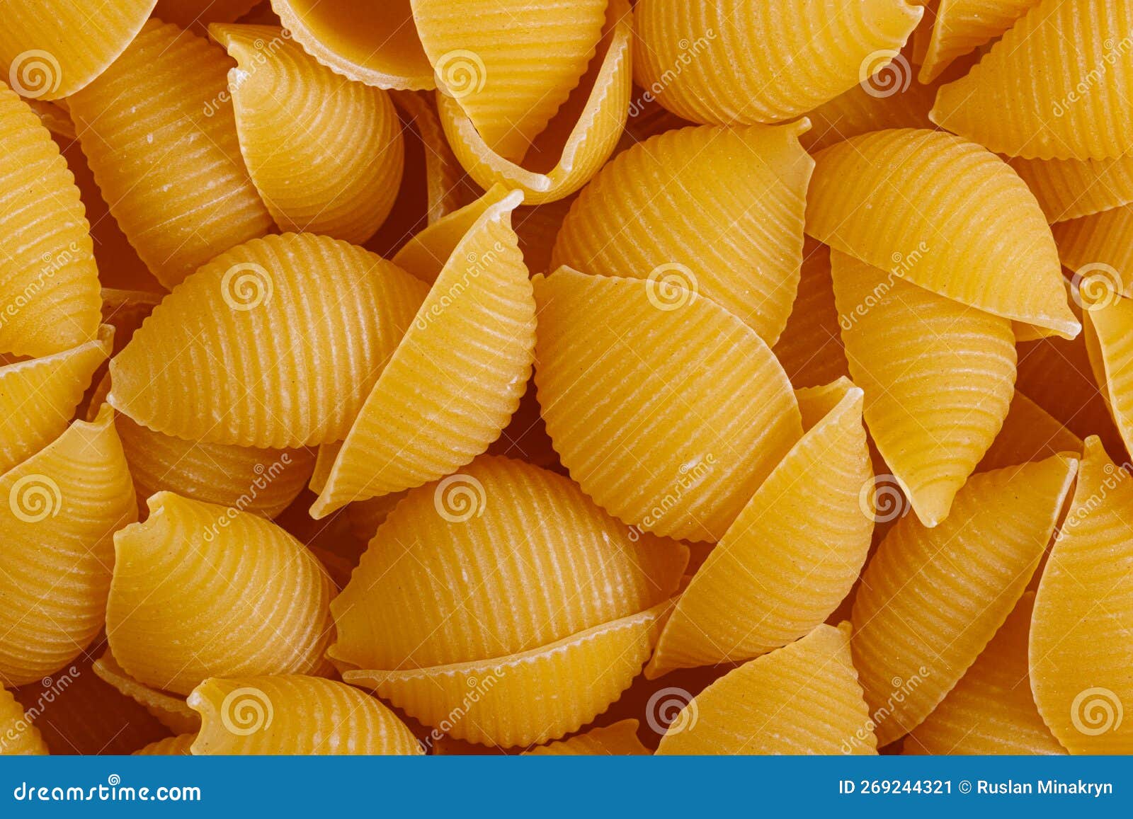 Pasta Products in the Form of a Shell, Texture Stock Image - Image of ...