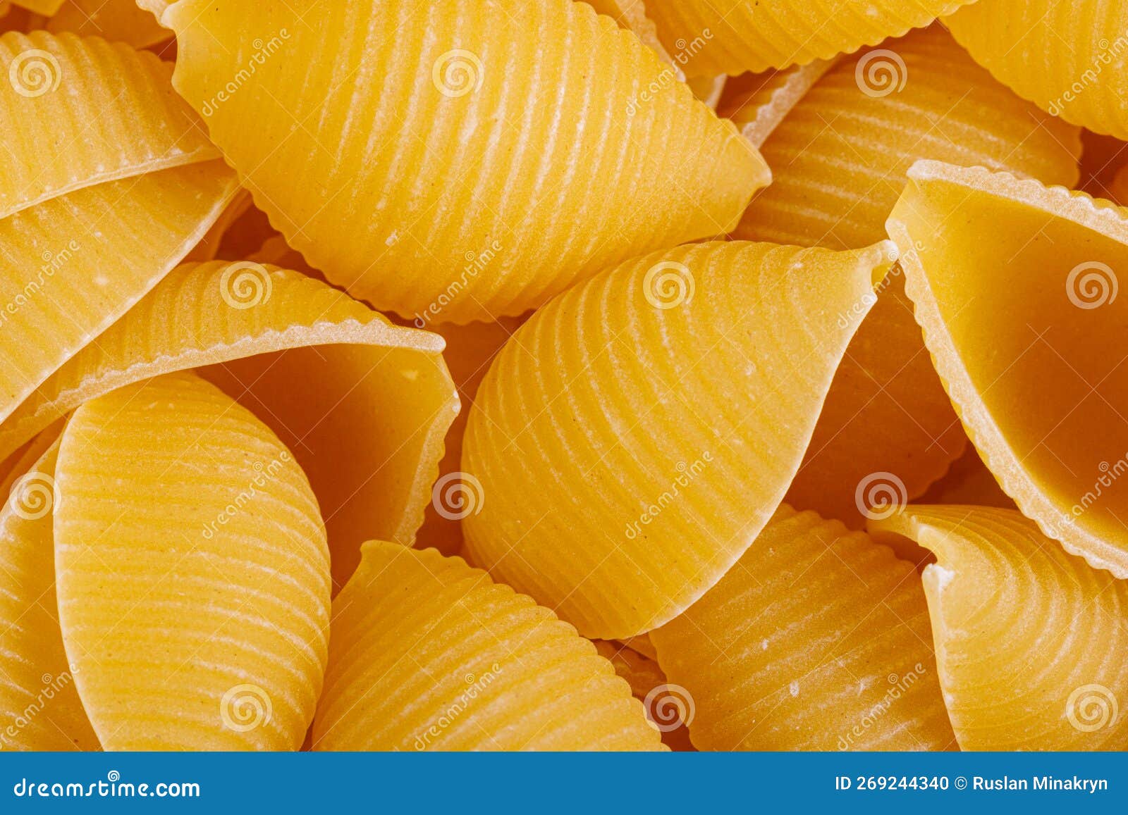 Pasta Products in the Form of a Shell, Texture Stock Photo - Image of ...