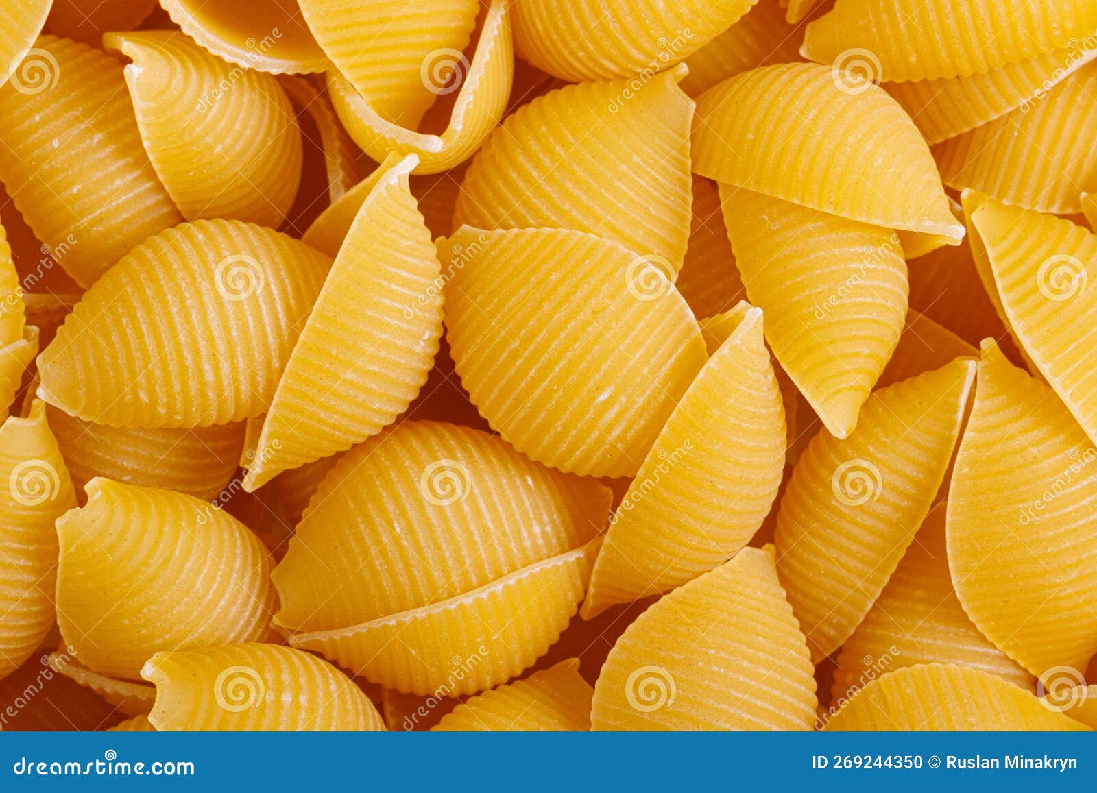 Pasta Products in the Form of a Shell, Texture Stock Photo - Image of ...