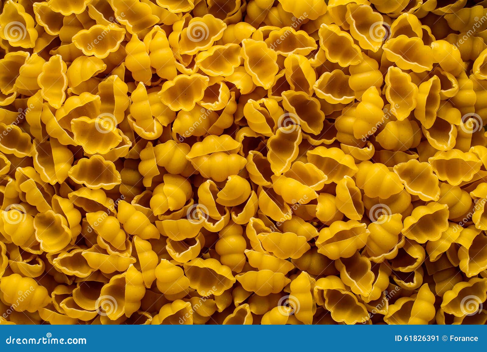 Pasta, Seashell Shape stock image. Image of lifestyle - 61826391