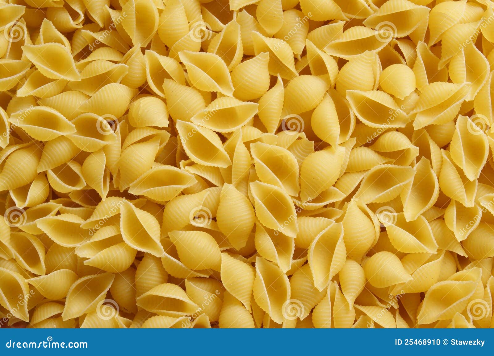 Pasta (seashells). stock photo. Image of ingredient, italian - 25468910