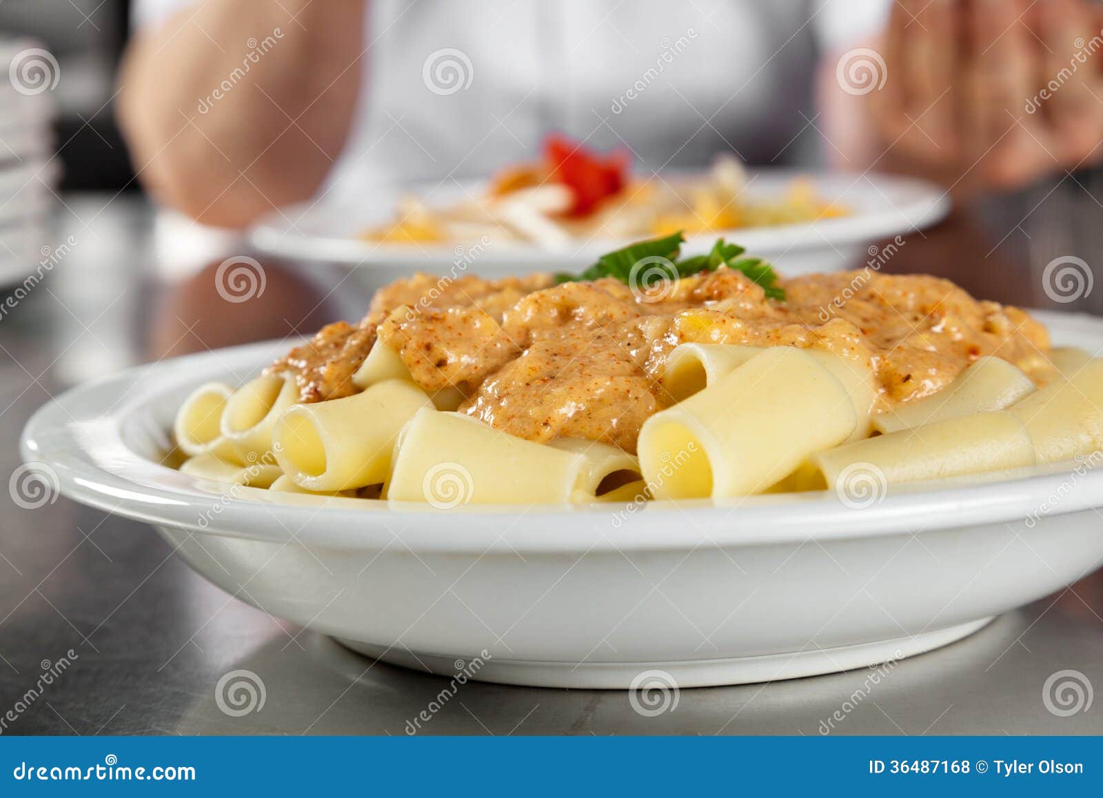 Pasta Served in Plate stock photo. Image of traditional - 36487168