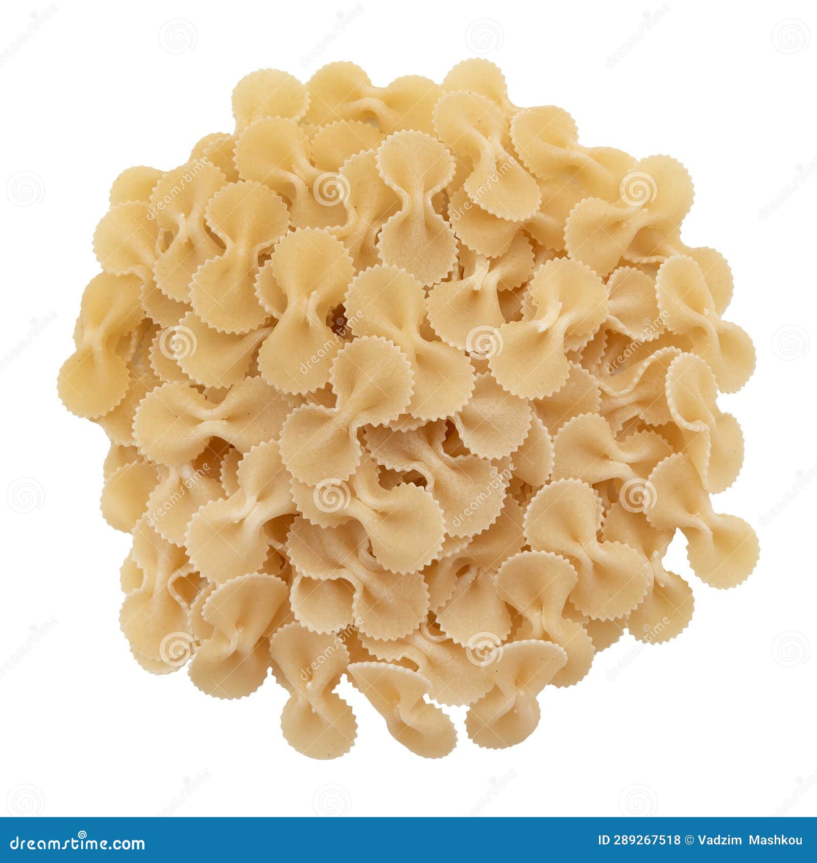 Pasta in the Shape of a Shell on a White Background. View from Above ...