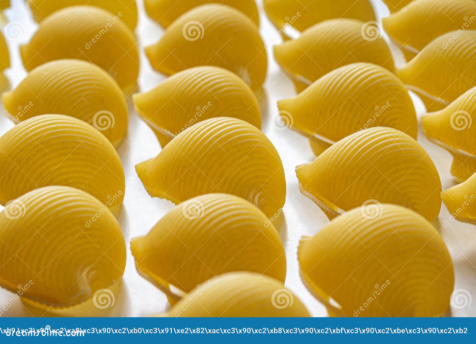 Pasta in the Shape of Shells, for Stuffing Stock Image - Image of ...
