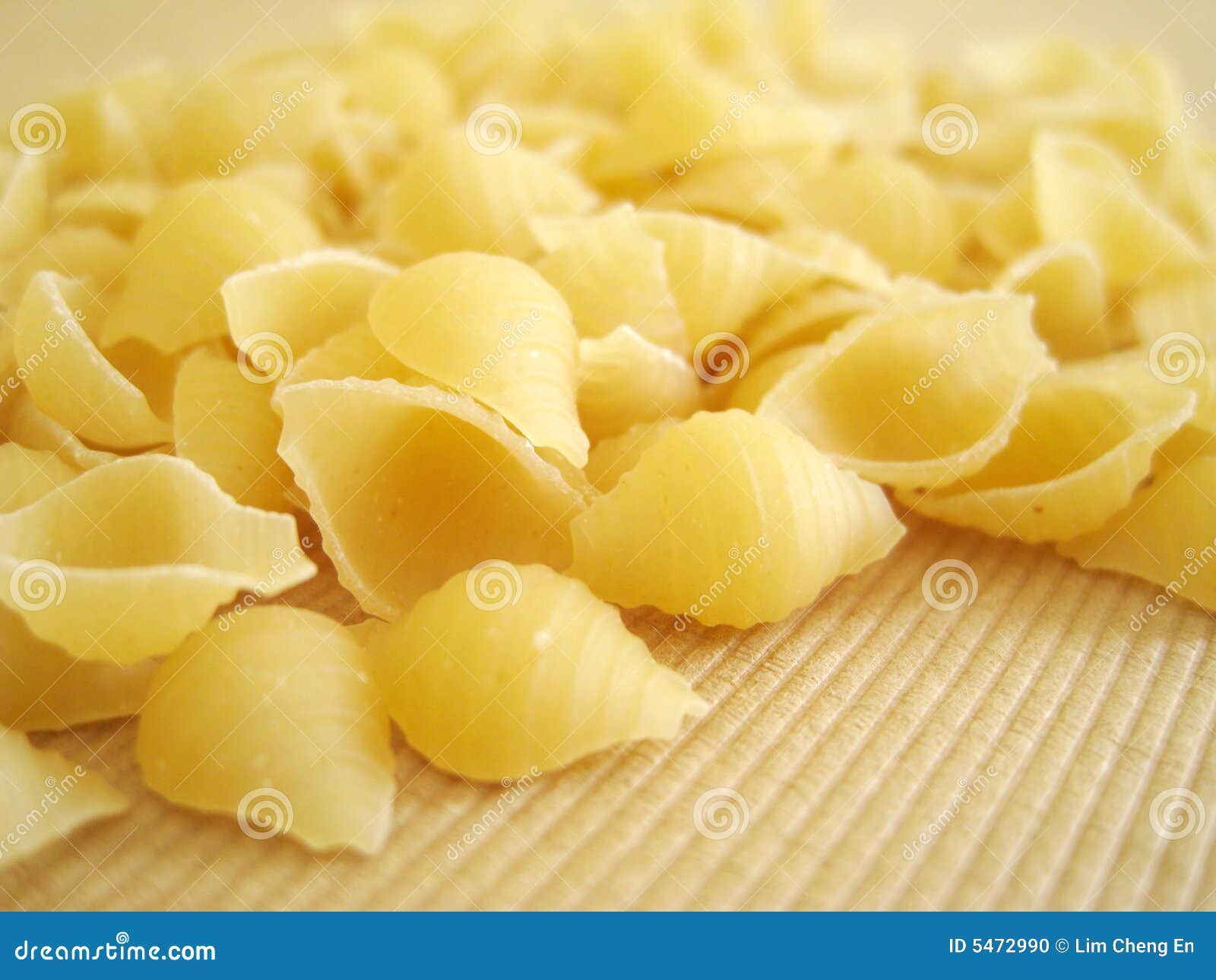 Pasta shell stock photo. Image of pasta, bunch, meal, nature - 5472990