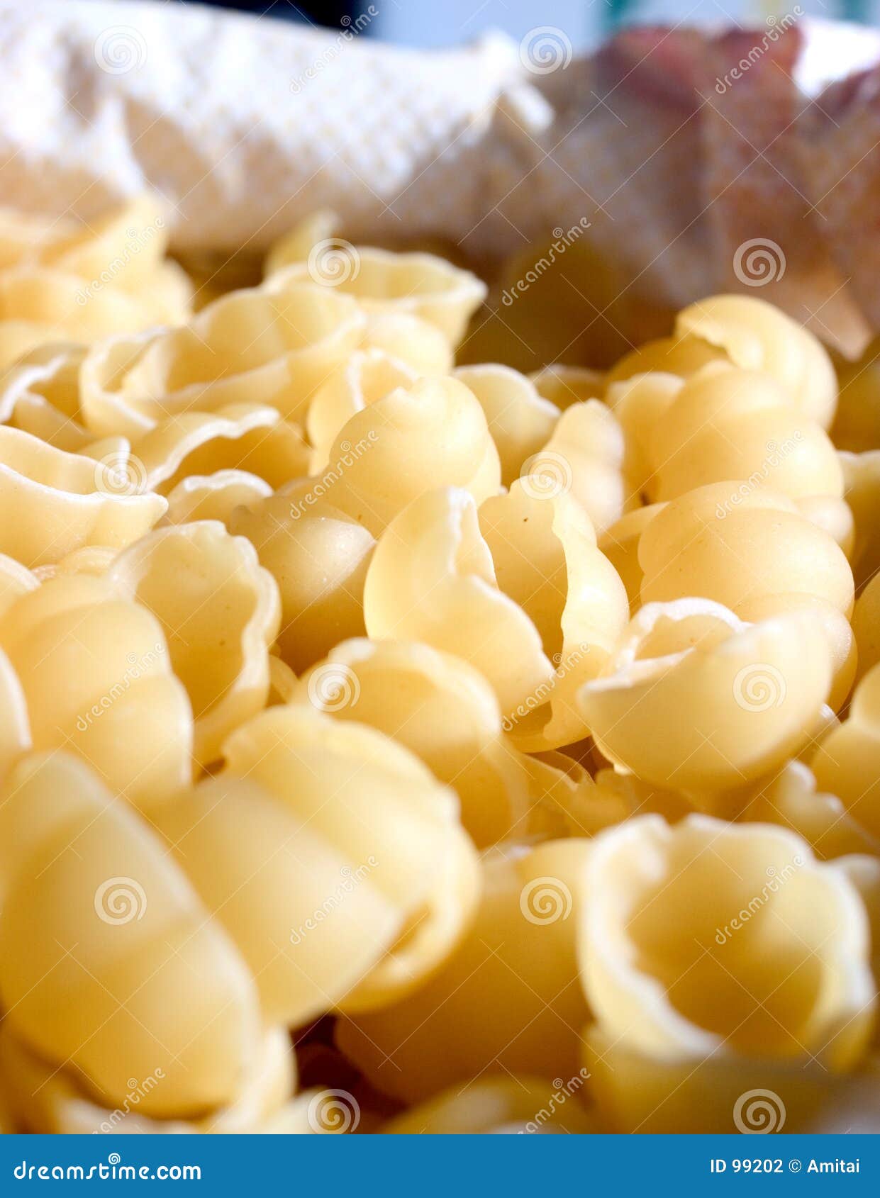Pasta Shells stock photo. Image of hollow, pasta, durum - 99202