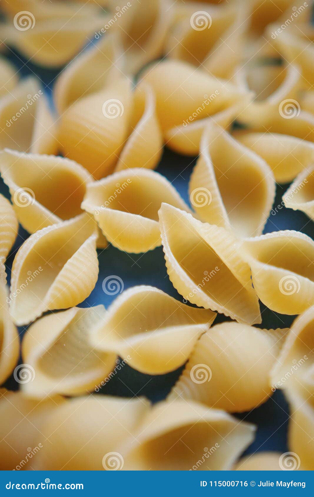 Pasta shells, Conchiglie stock photo. Image of cereal - 115000716