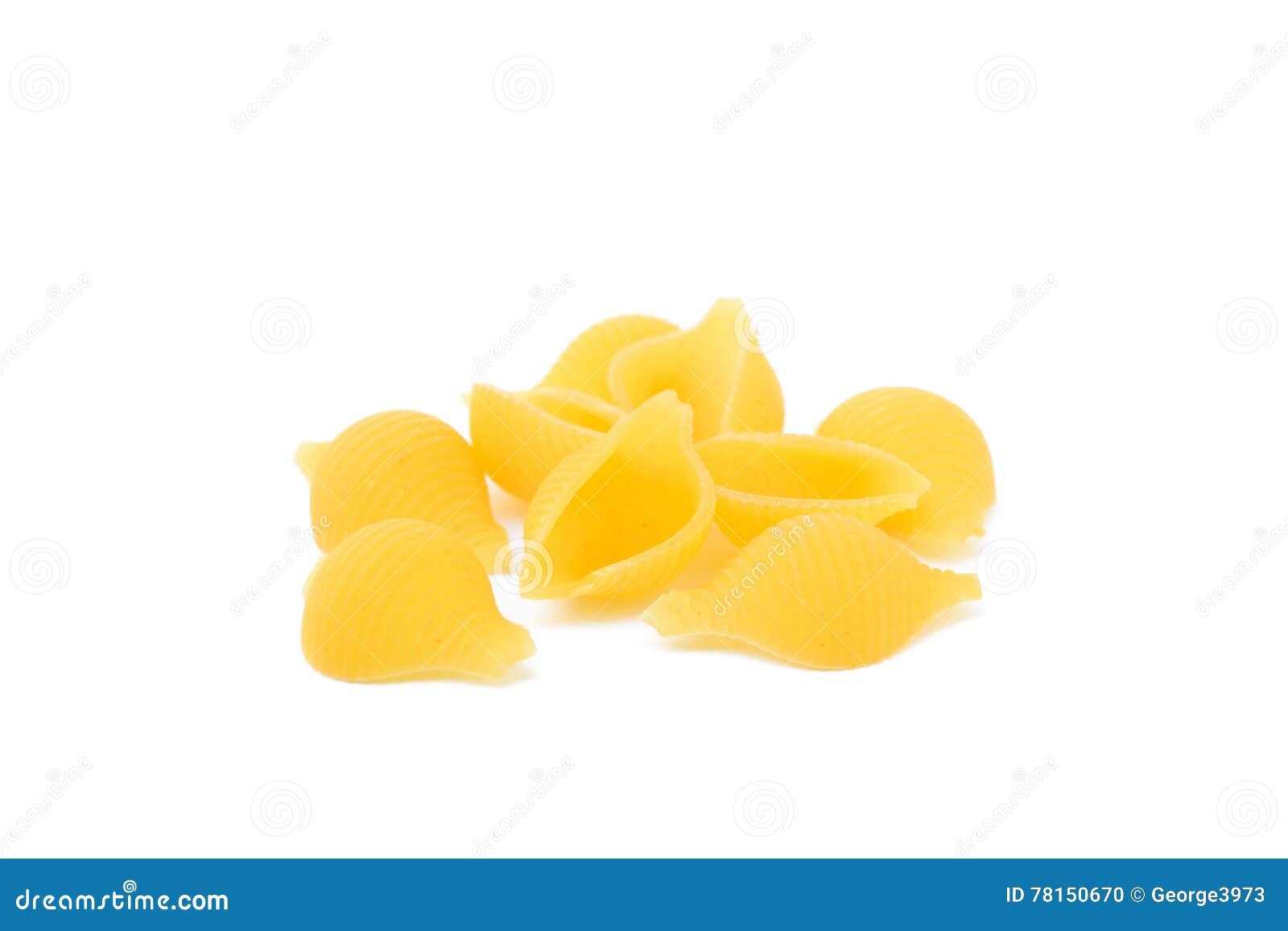 Pasta shells isolated stock photo. Image of dinner, meal - 78150670
