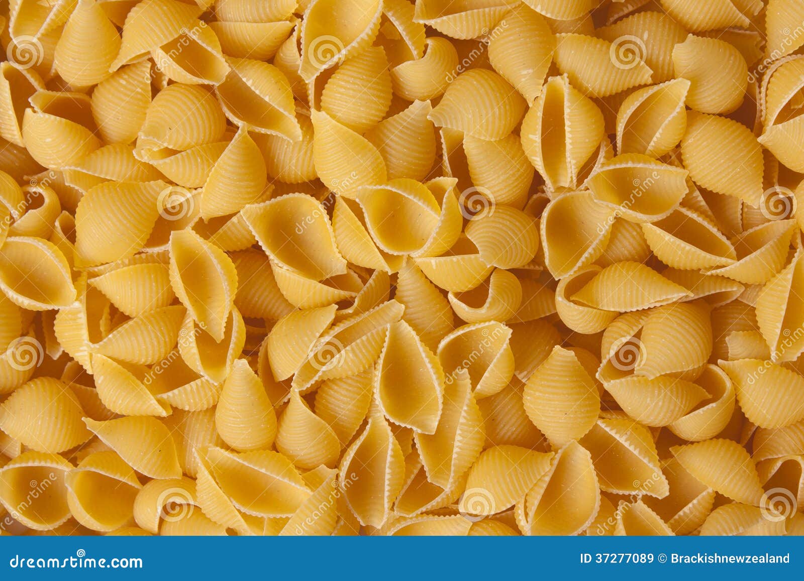 Pasta Shells stock image. Image of abstract, yellow, pattern - 37277089