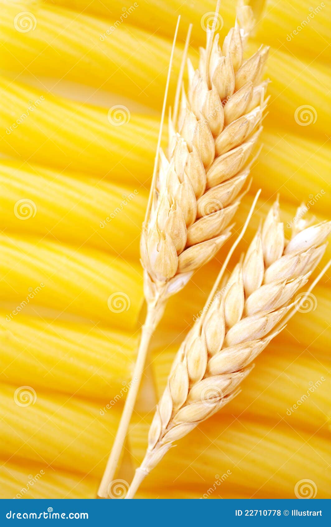 Pasta with wheat ears stock photo. Image of wheat, gourmet - 22710778