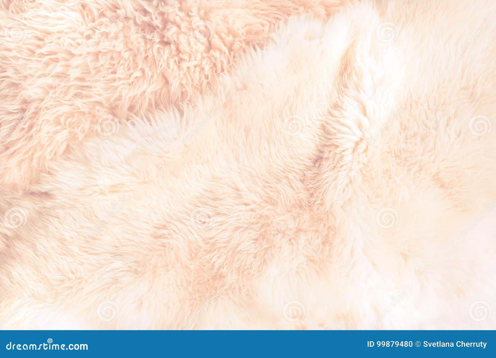 Pastel and Beige Fur Close Up Background. Texture, Pattern. Stock Photo ...