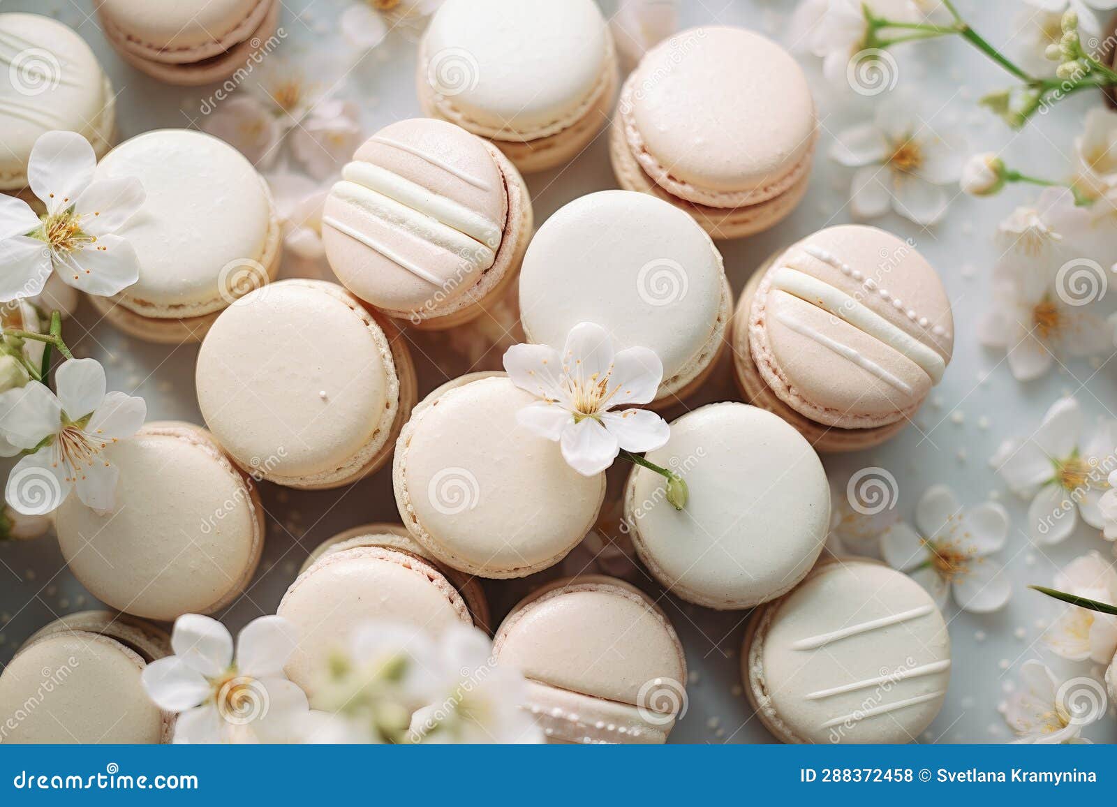 Pastel Color French Macarons Stock Photo - Image of pastry, healthy ...