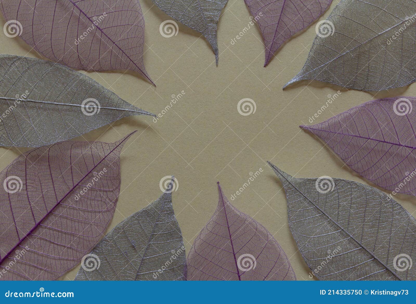 Pastel Colors Leaves Rustic Backgrounds , Copy Space, Greeting Card ...