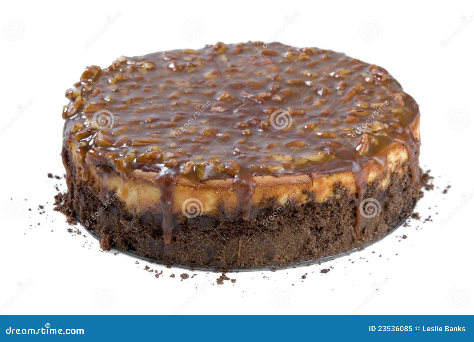 Pastel De Queso De La Tortuga Imagen de archivo - Imagen de tortuga ...