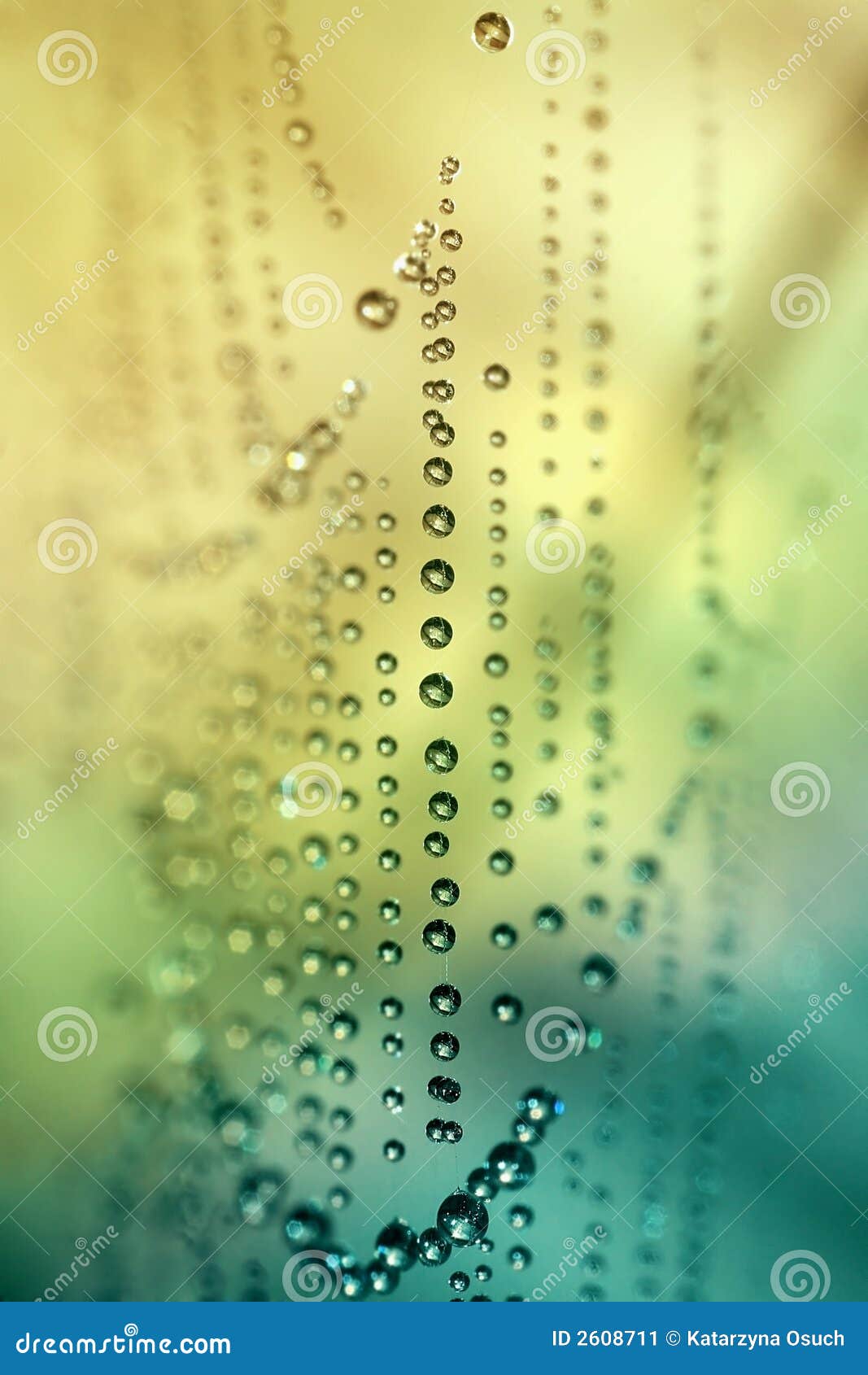 Pastel droplets stock image. Image of beautiful, forest - 2608711