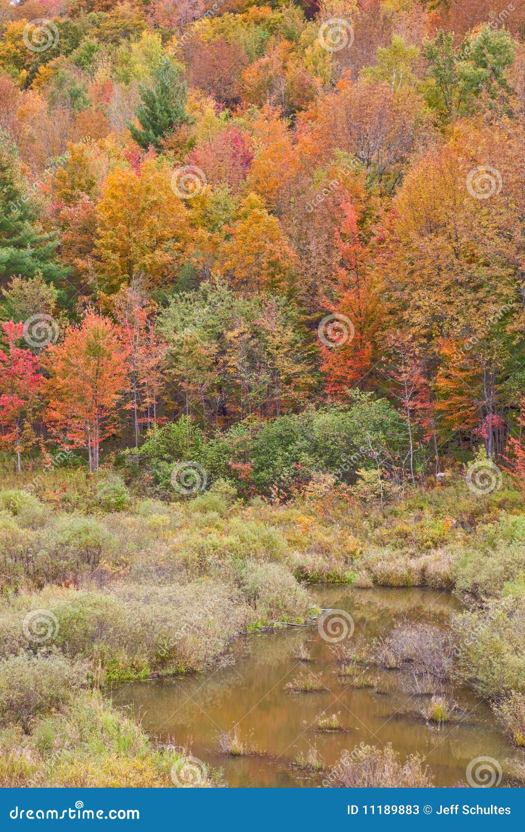 Pastel Fall Colors Stock Photos - Image: 11189883