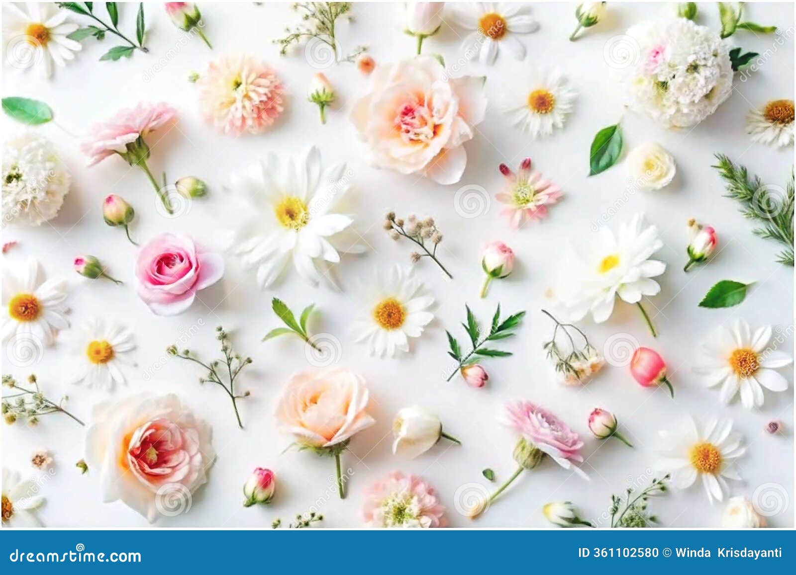 Pastel Flowers Arranged on White Background, Floral Pattern, Nature ...