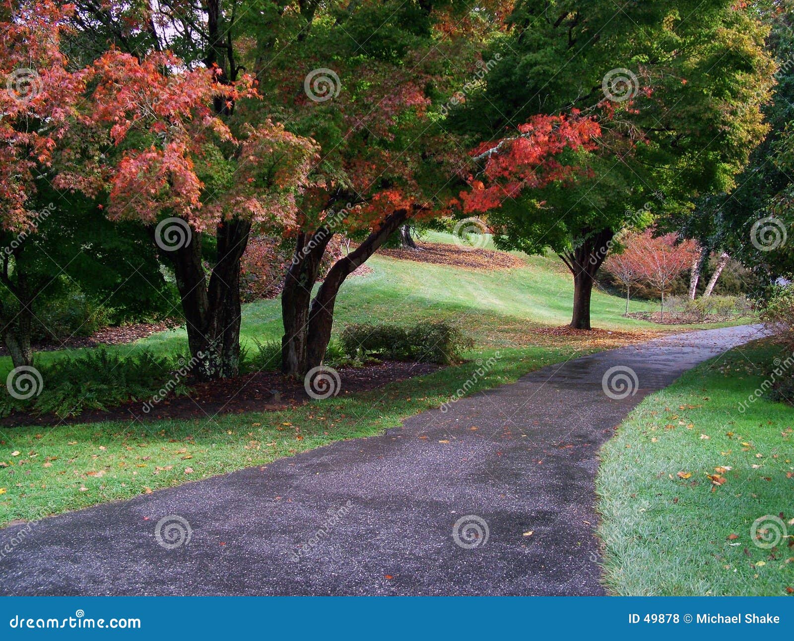 Pastel Path stock photo. Image of colors, scenic, landscape - 49878