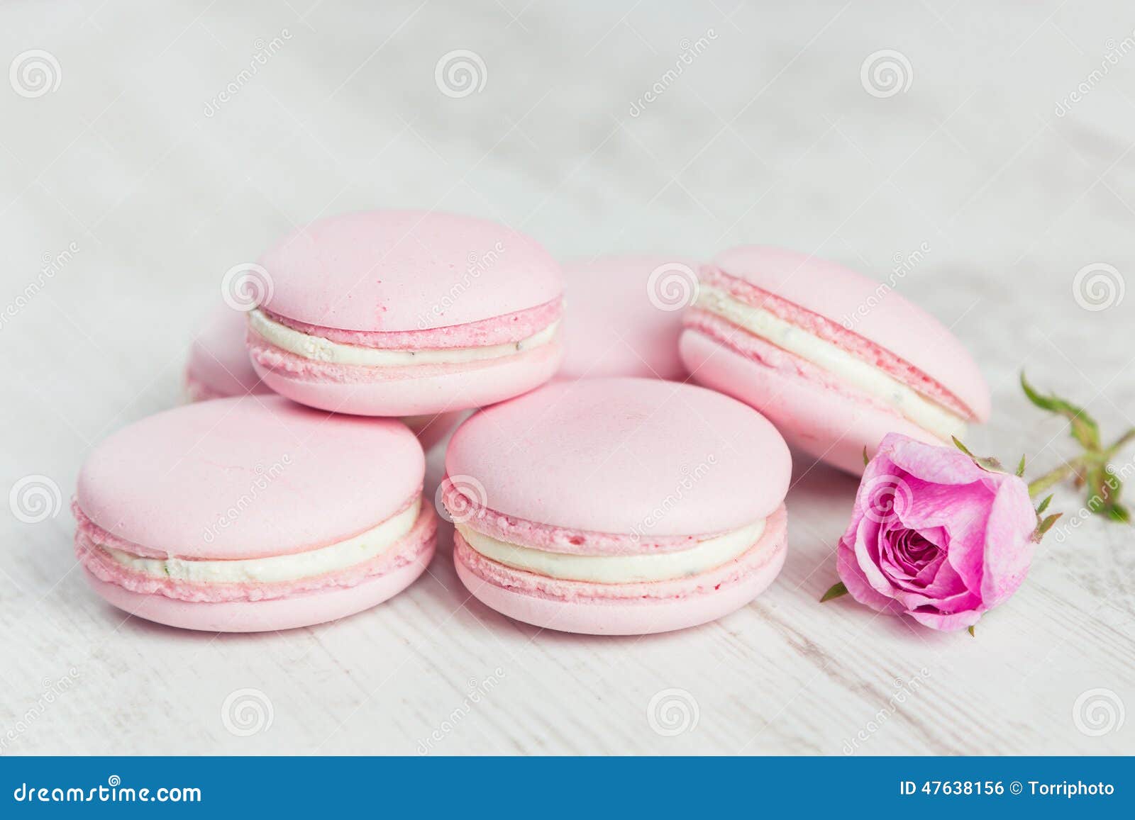 Pastel Pink Macaroons with Rose Stock Photo - Image of baked ...
