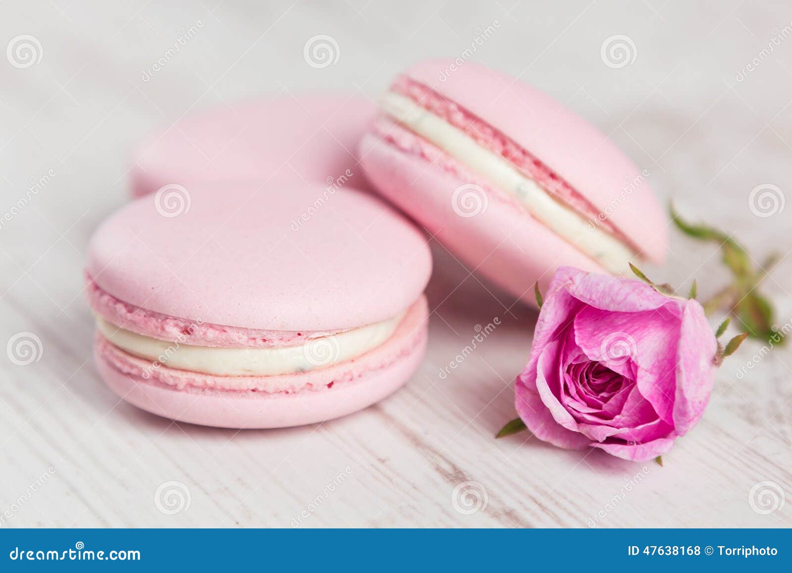 Pastel Pink Macaroons with Rose, Pastel Colored Stock Photo - Image of ...