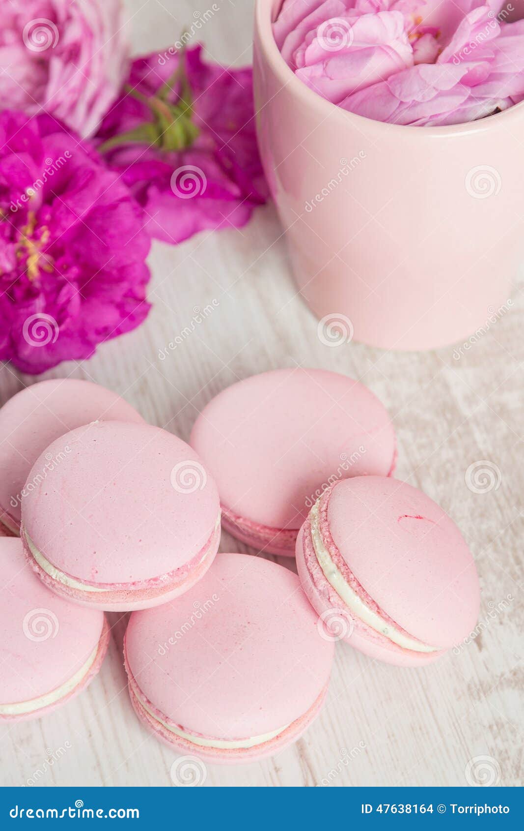 Pastel Pink Macaroons with Rose Stock Photo - Image of baking, home ...