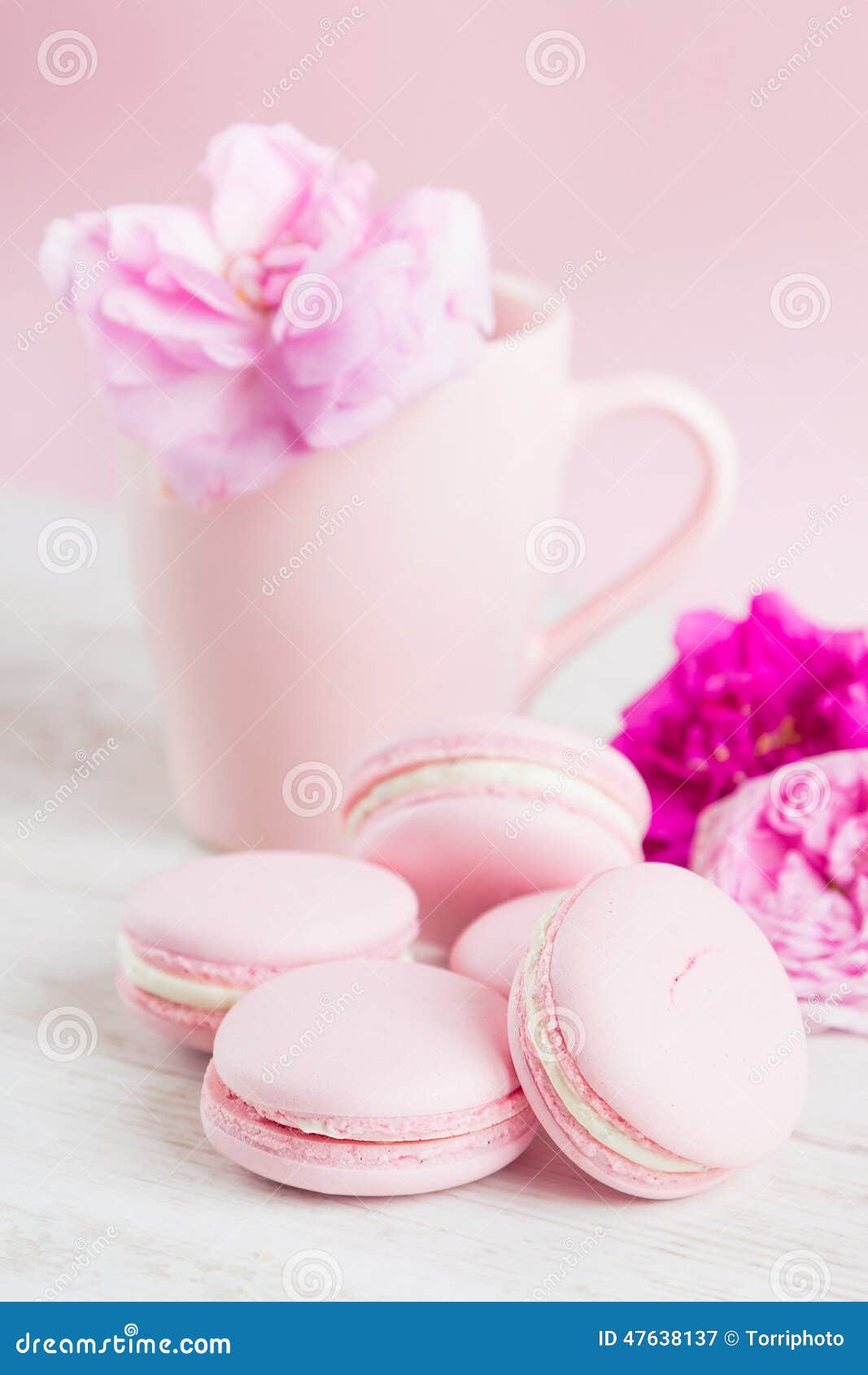 Pastel Pink Macaroons and Tea Cup with Rose Stock Image - Image of ...