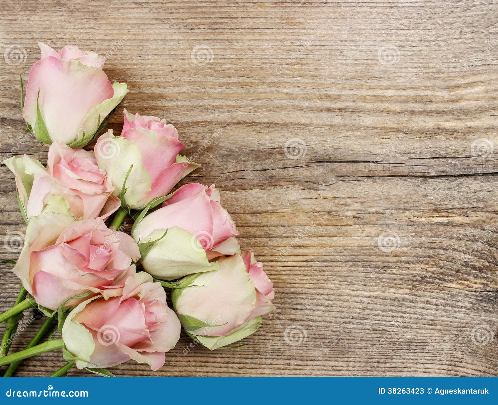 Pastel Pink Roses on Wooden Background Stock Image - Image of copy ...