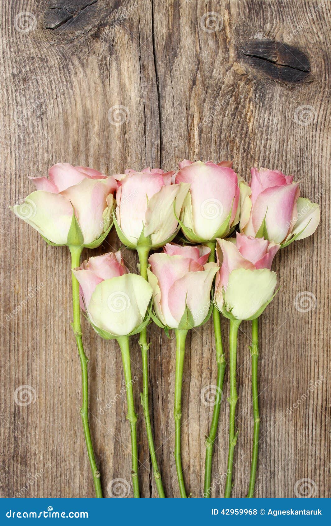 Pastel Pink Roses on Wooden Background Stock Photo - Image of bunch ...