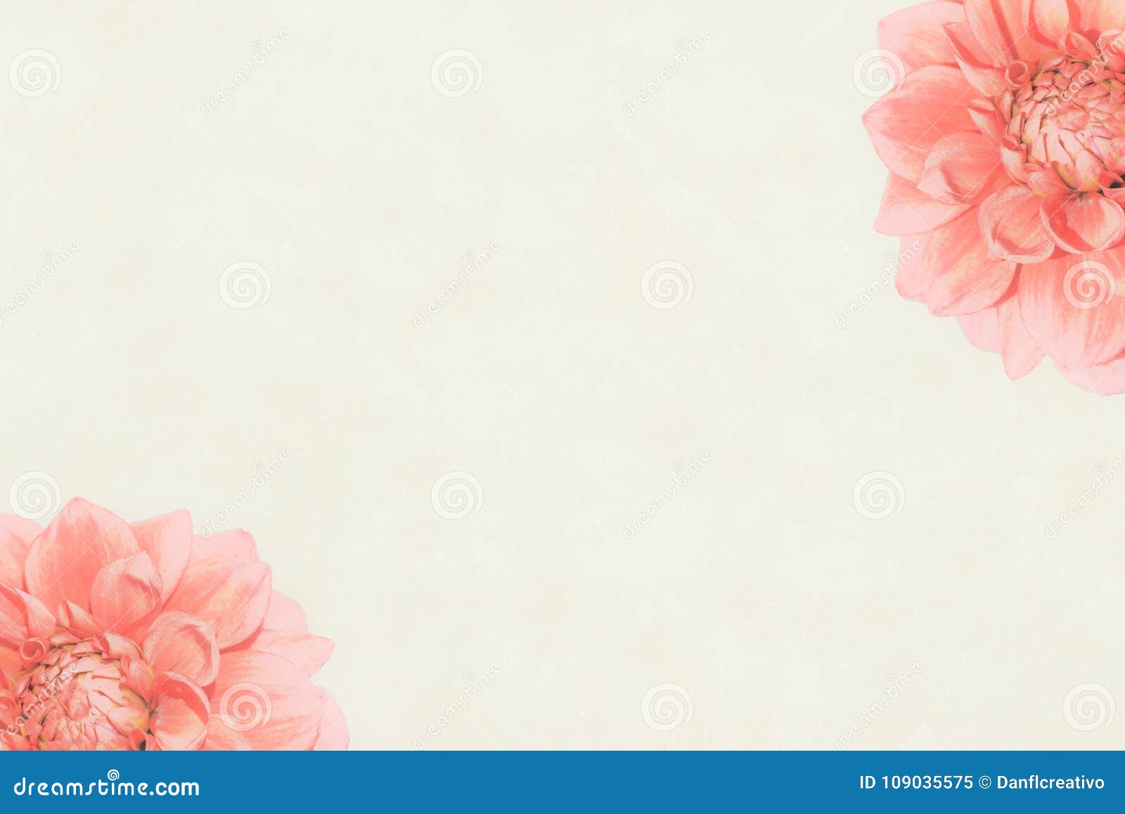 Soft Background with Flower Borders Stock Image - Image of romantic ...