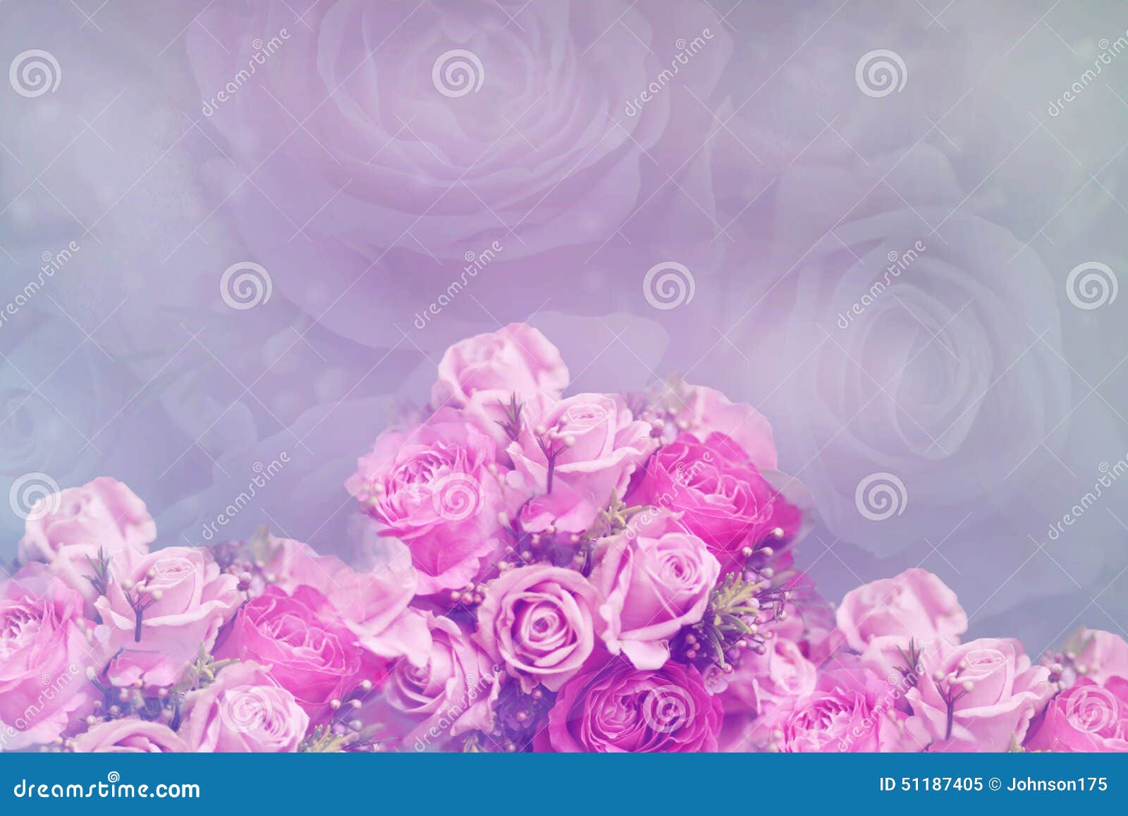 Pastel Roses stock image. Image of blossom, floral, flora - 51187405