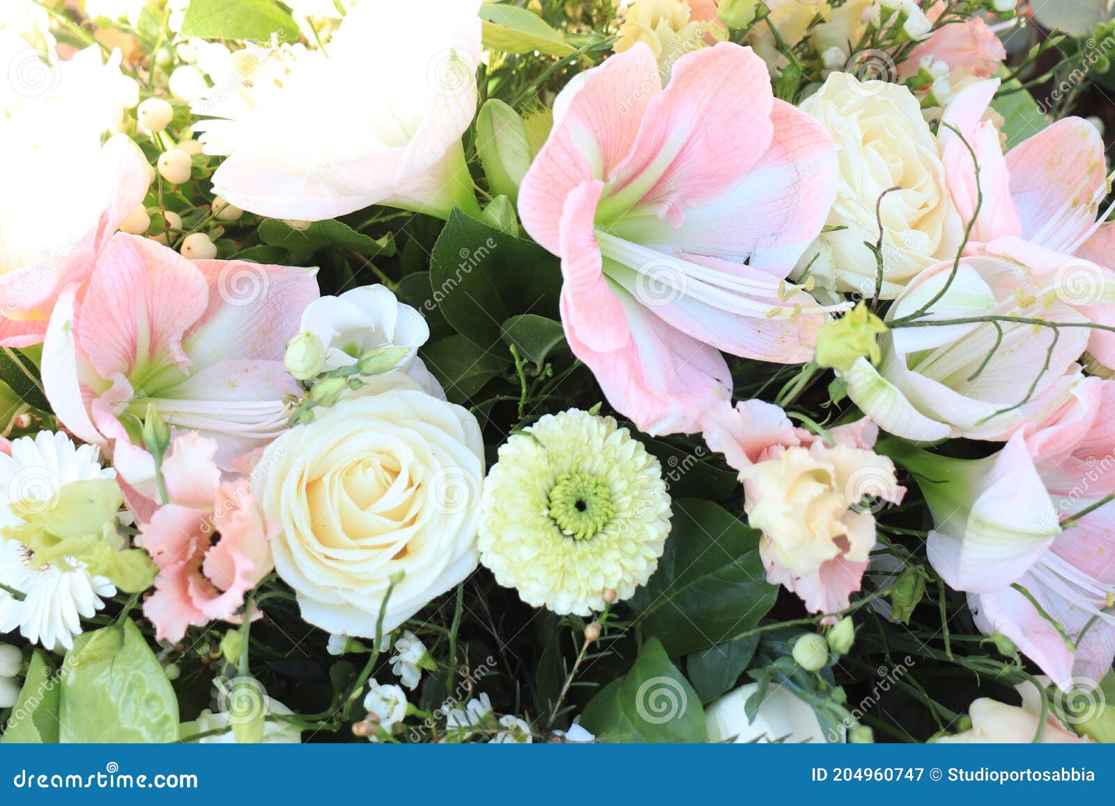 Pastel spring flowers stock image. Image of amaryllis - 204960747