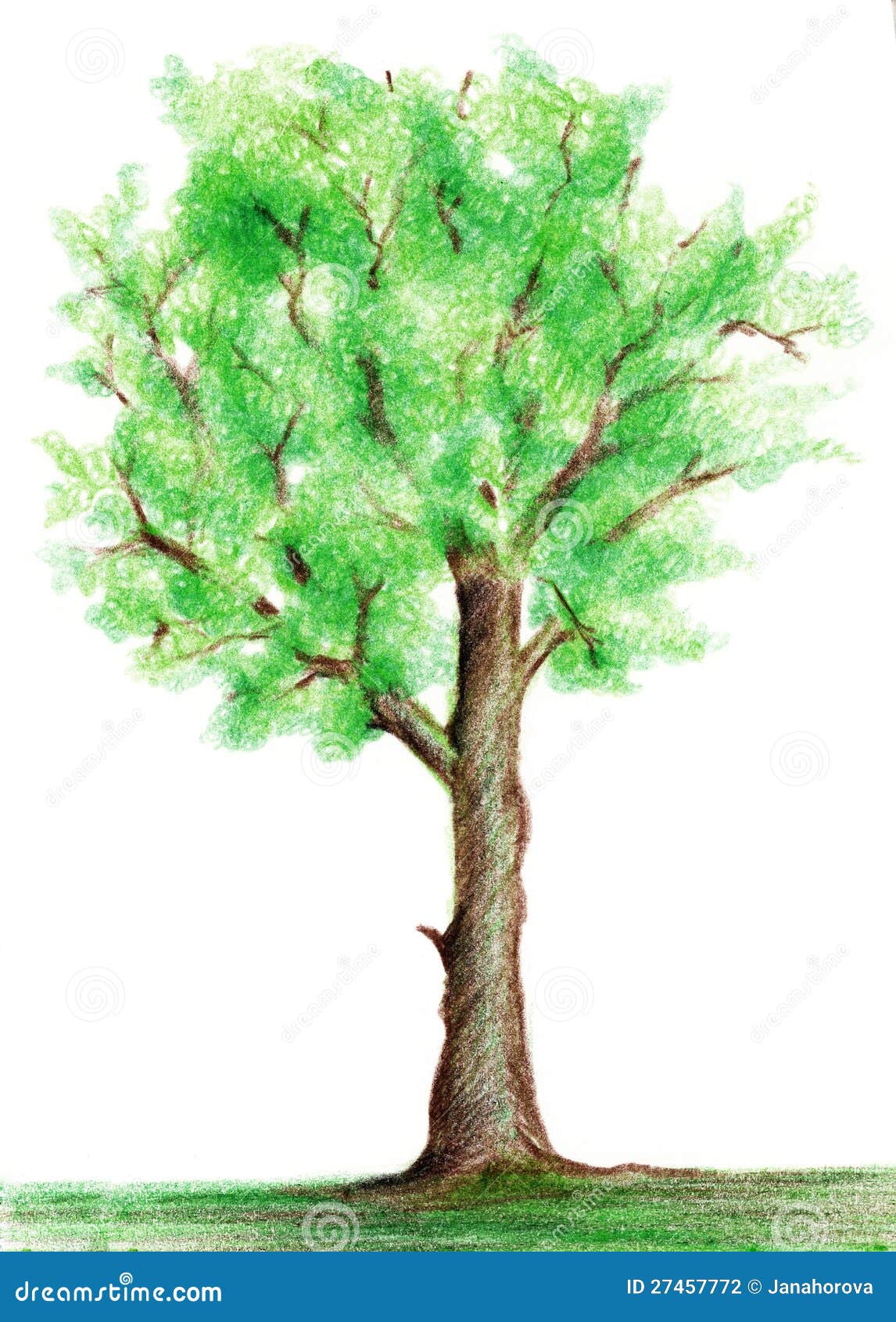 Pastel tree stock illustration. Illustration of green - 27457772