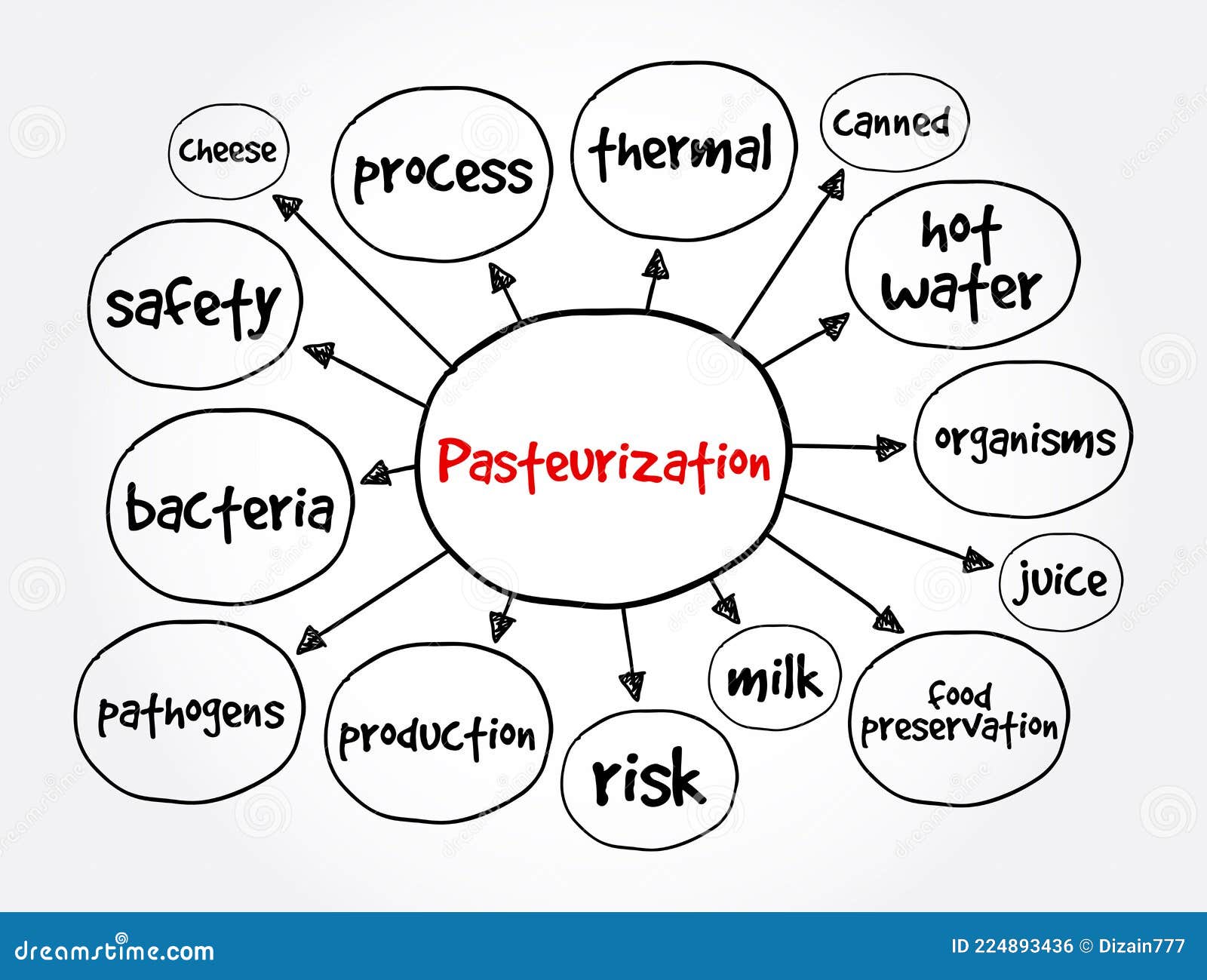 Fermentation Mind Map, Concept For Presentations And Reports Royalty ...