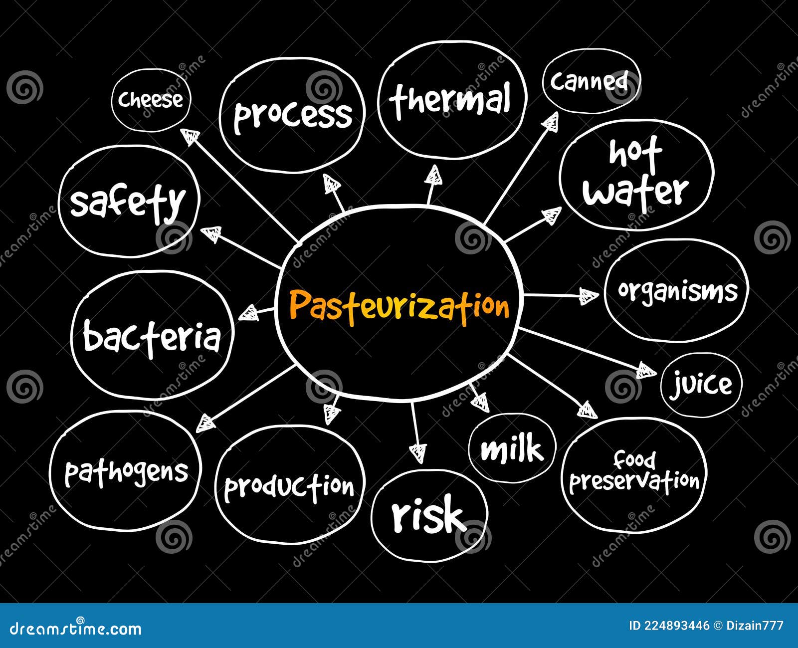 Fermentation Mind Map, Concept For Presentations And Reports Royalty ...