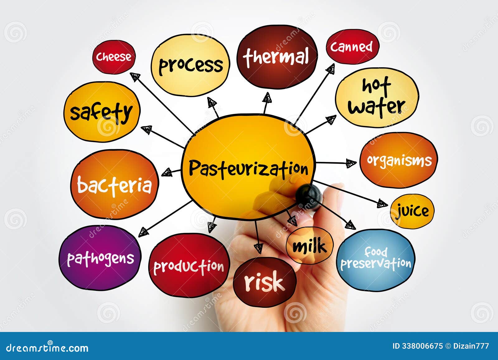 Fermentation Mind Map, Concept For Presentations And Reports Royalty ...