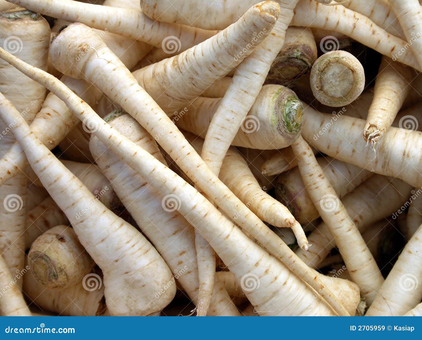 Pastinaca imagen de archivo. Imagen de salud, mercado - 2705959