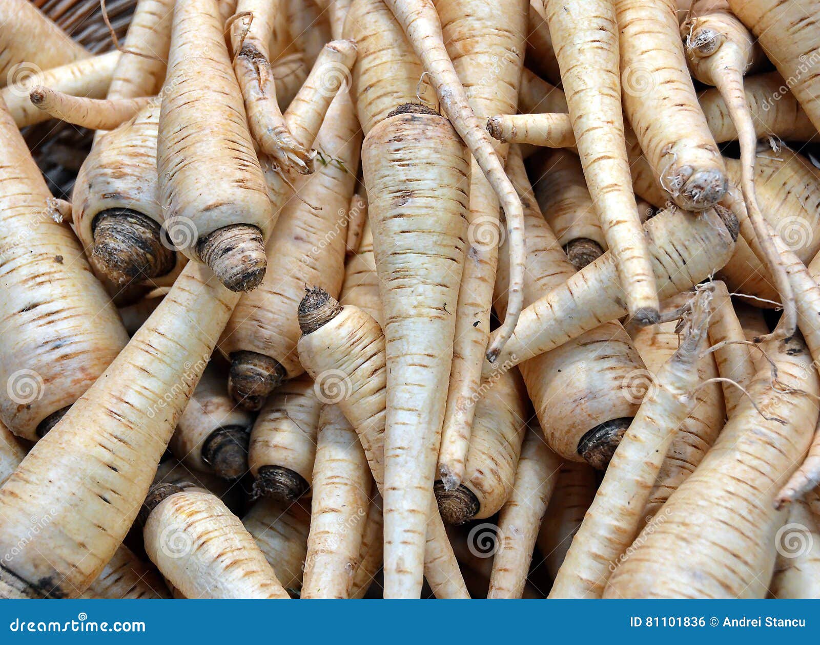Pastinaca foto de archivo. Imagen de ingrediente, mercado - 81101836
