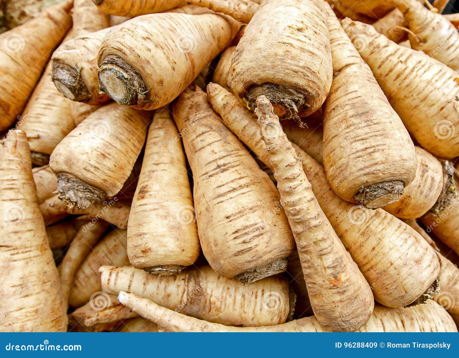 Pastinaga em uma pilha imagem de stock. Imagem de maduro - 96288409