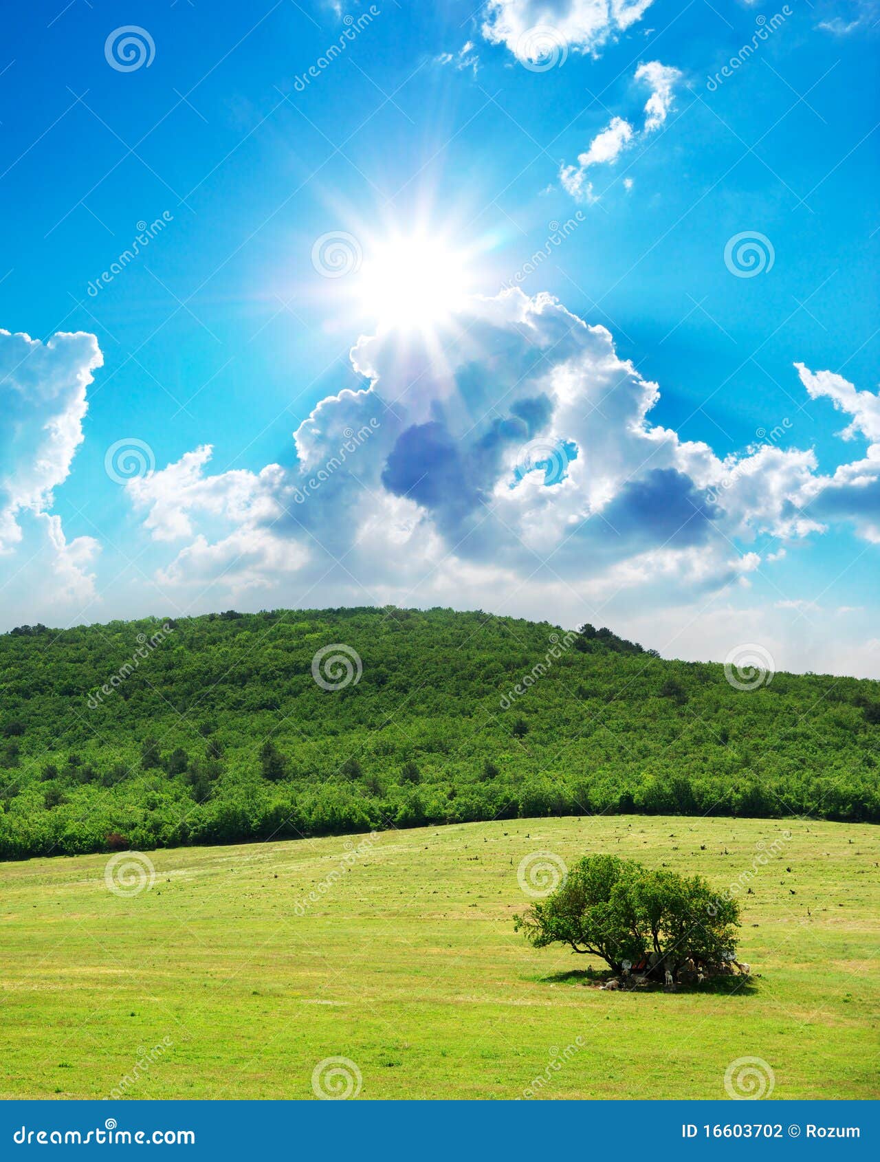 Pasto foto de archivo. Imagen de verde, pasto, cubo, brillante - 16603702